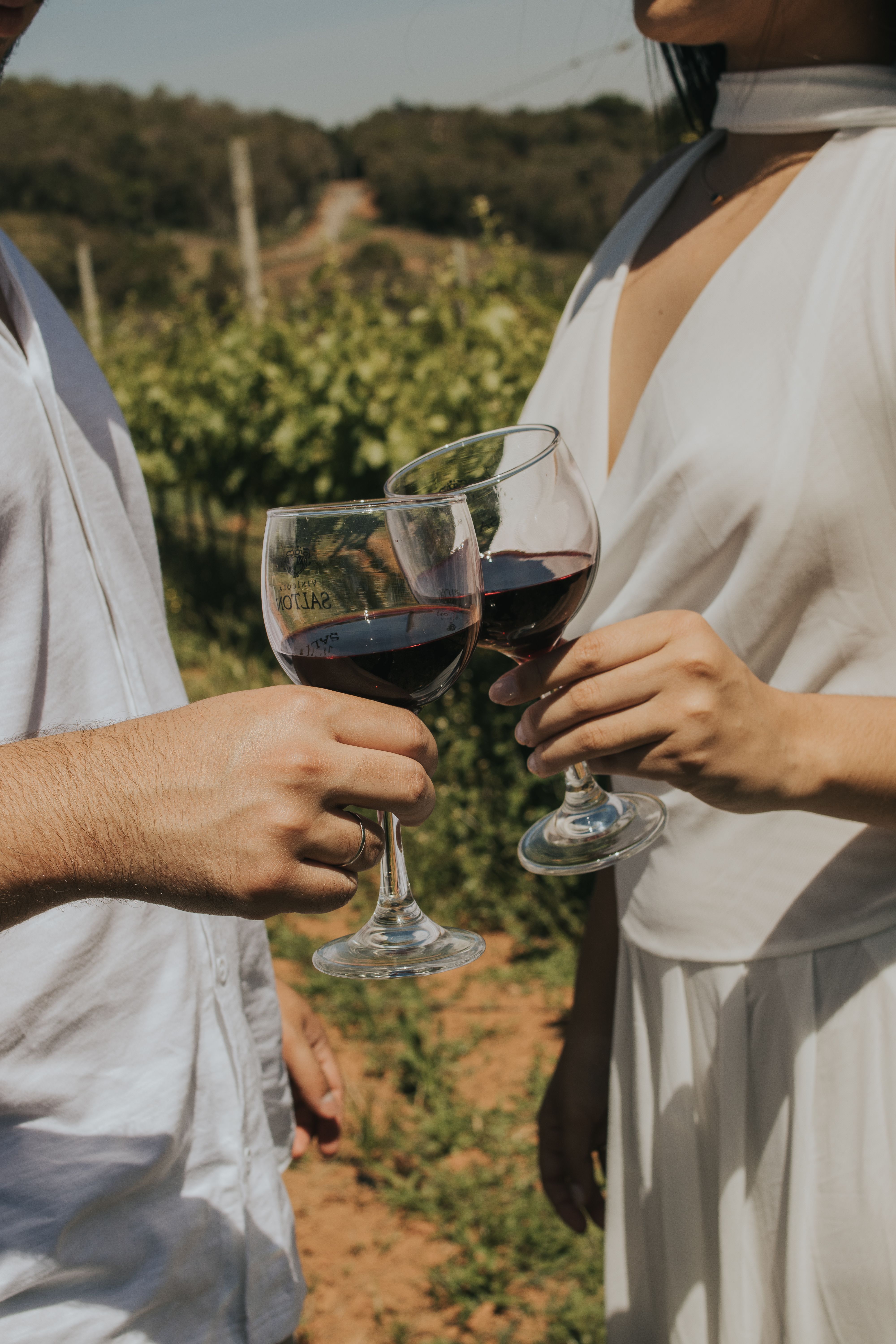 Romantic Wine Toast in Scenic Vineyard Setting · Free Stock Photo
