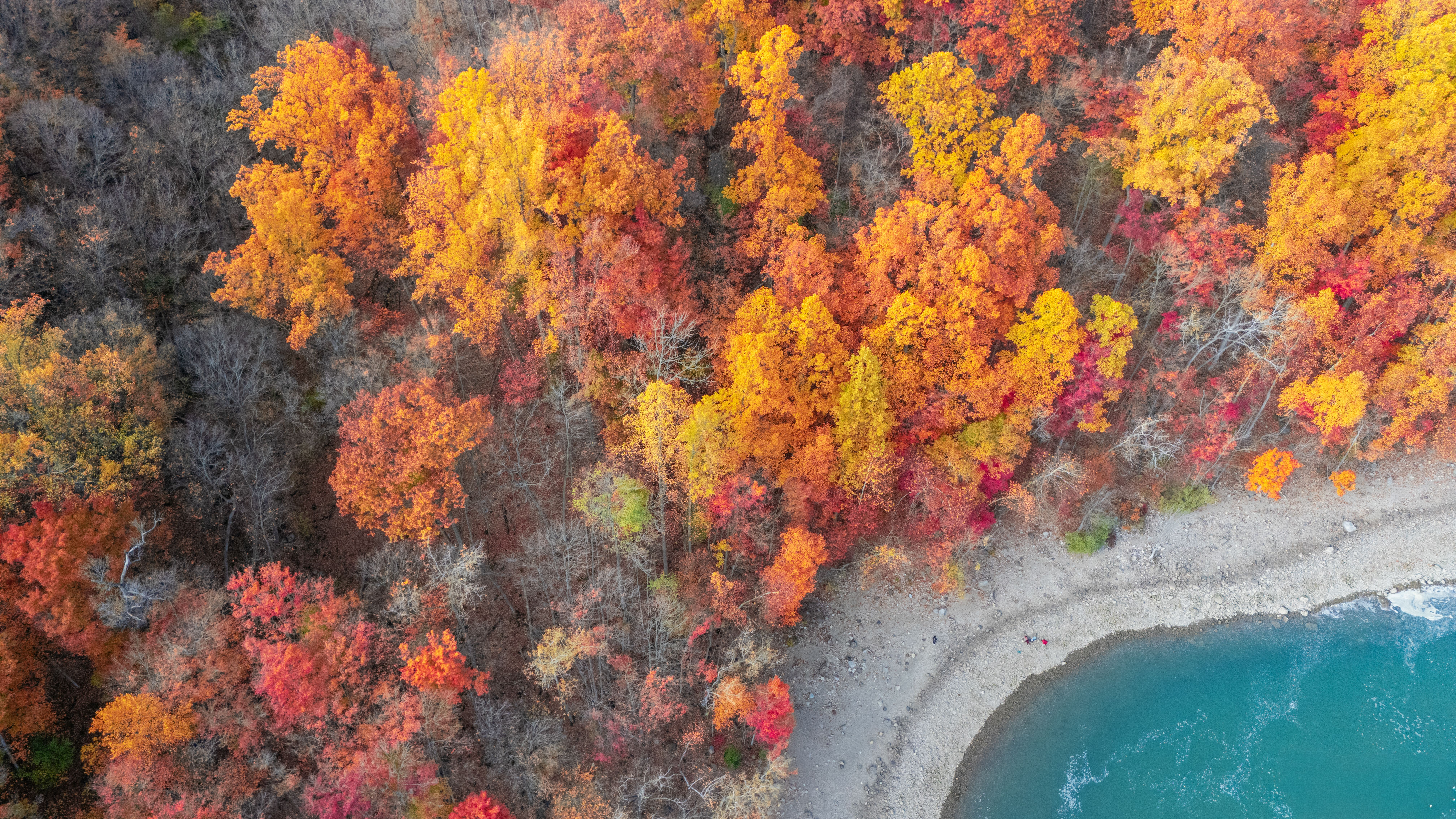 Aerial View of Vibrant Fall Foliage by a Serene Lake · Free Stock Photo