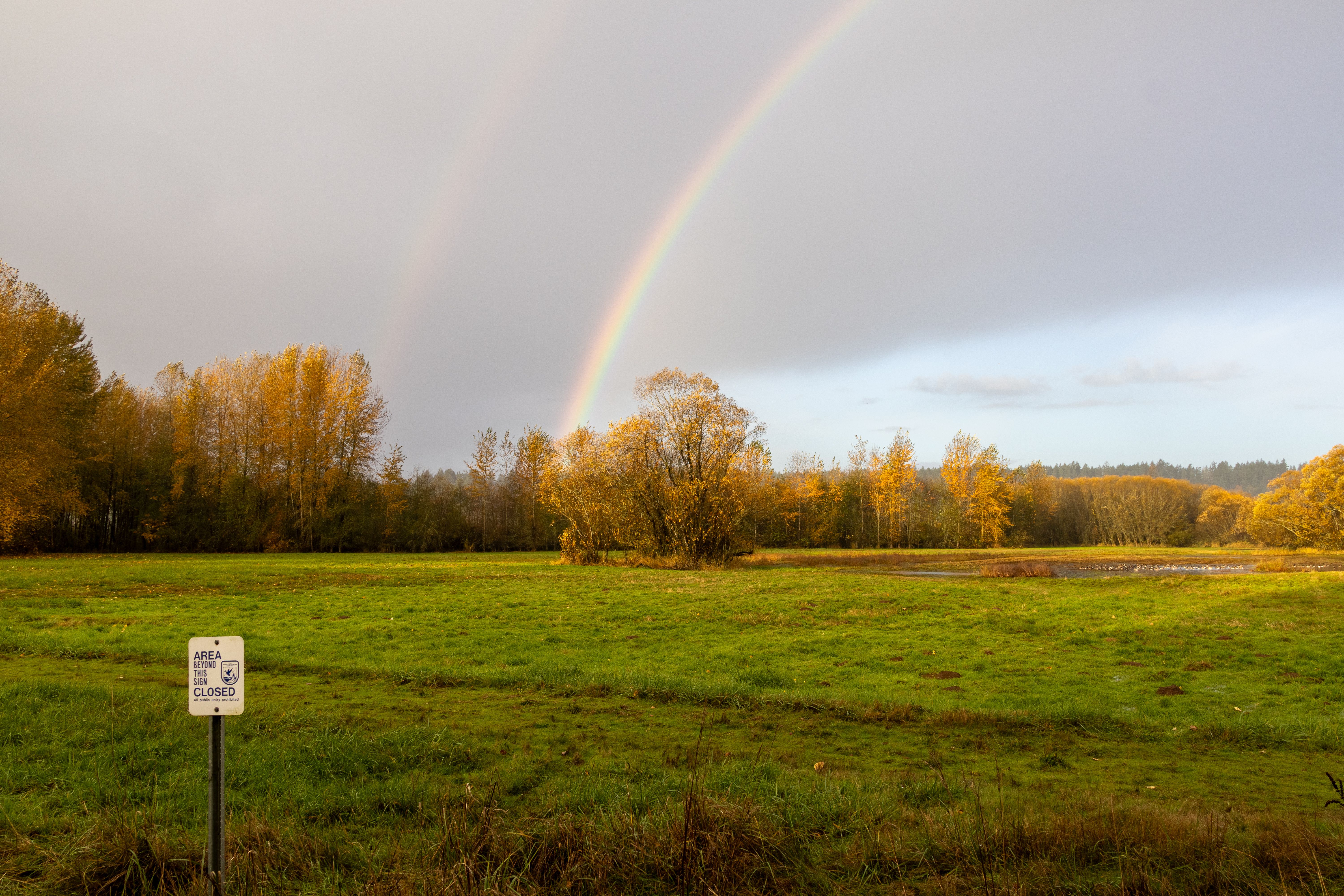 Rainbow Meadow Photos, Download The BEST Free Rainbow Meadow Stock ...