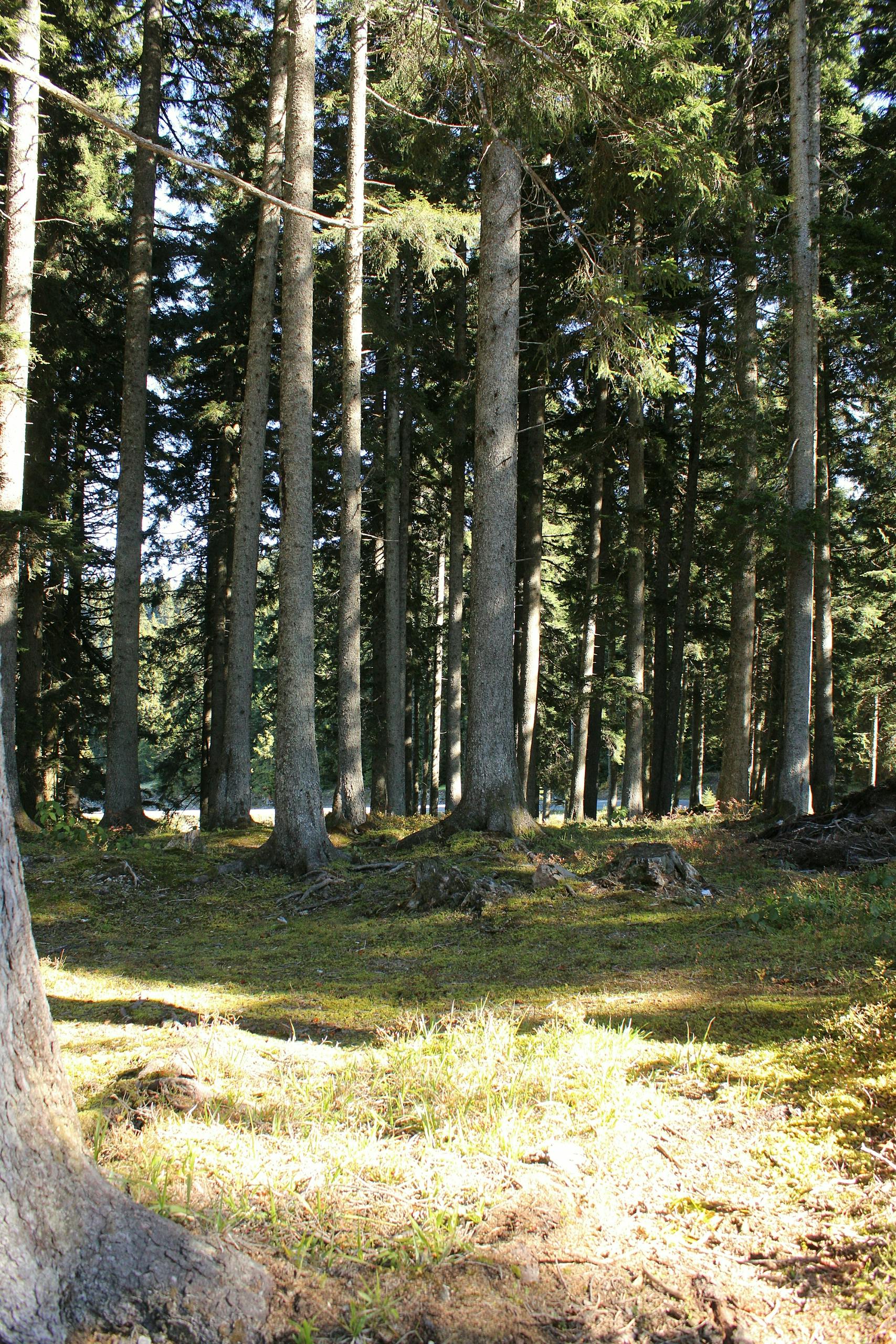 80 000+ Pin-by-danboy-on-pucca-pucca-sonic-the-hedgehog-pucca-x-garu ...