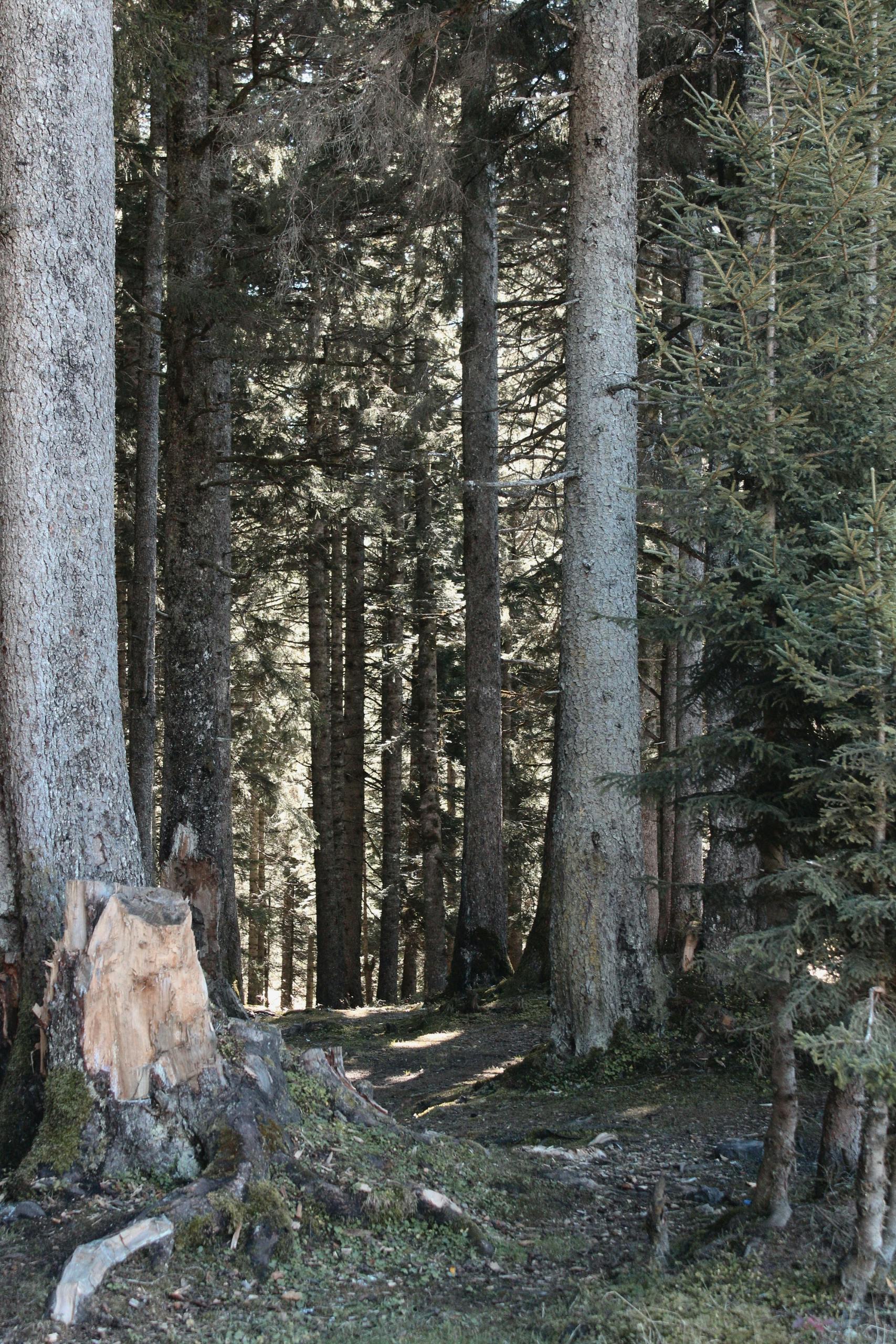 80 000+ Pin-by-danboy-on-pucca-pucca-sonic-the-hedgehog-pucca-x-garu ...