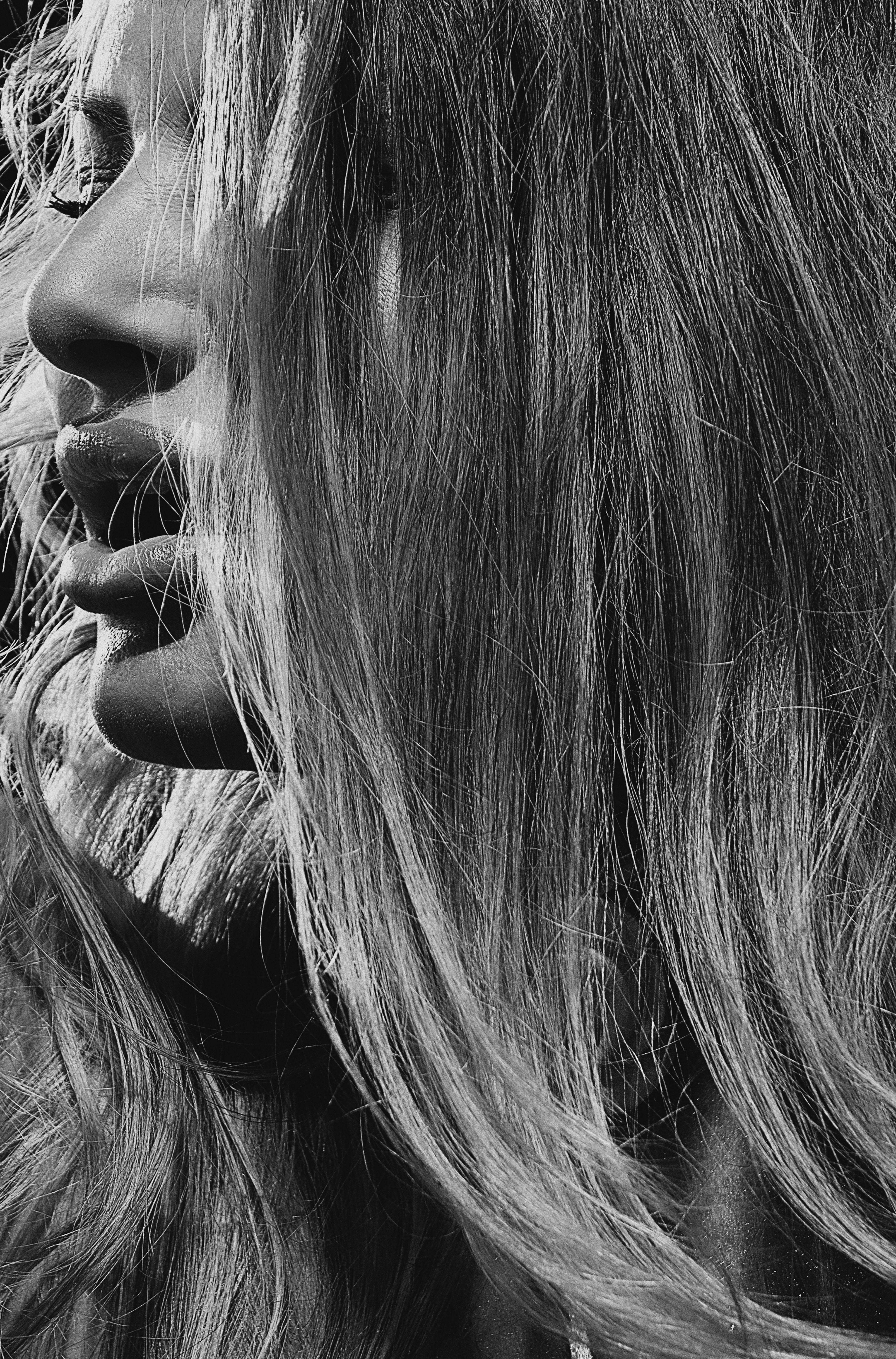 Subtle+Bwno Photos, Download The BEST Free Subtle+Bwno Stock Photos ...