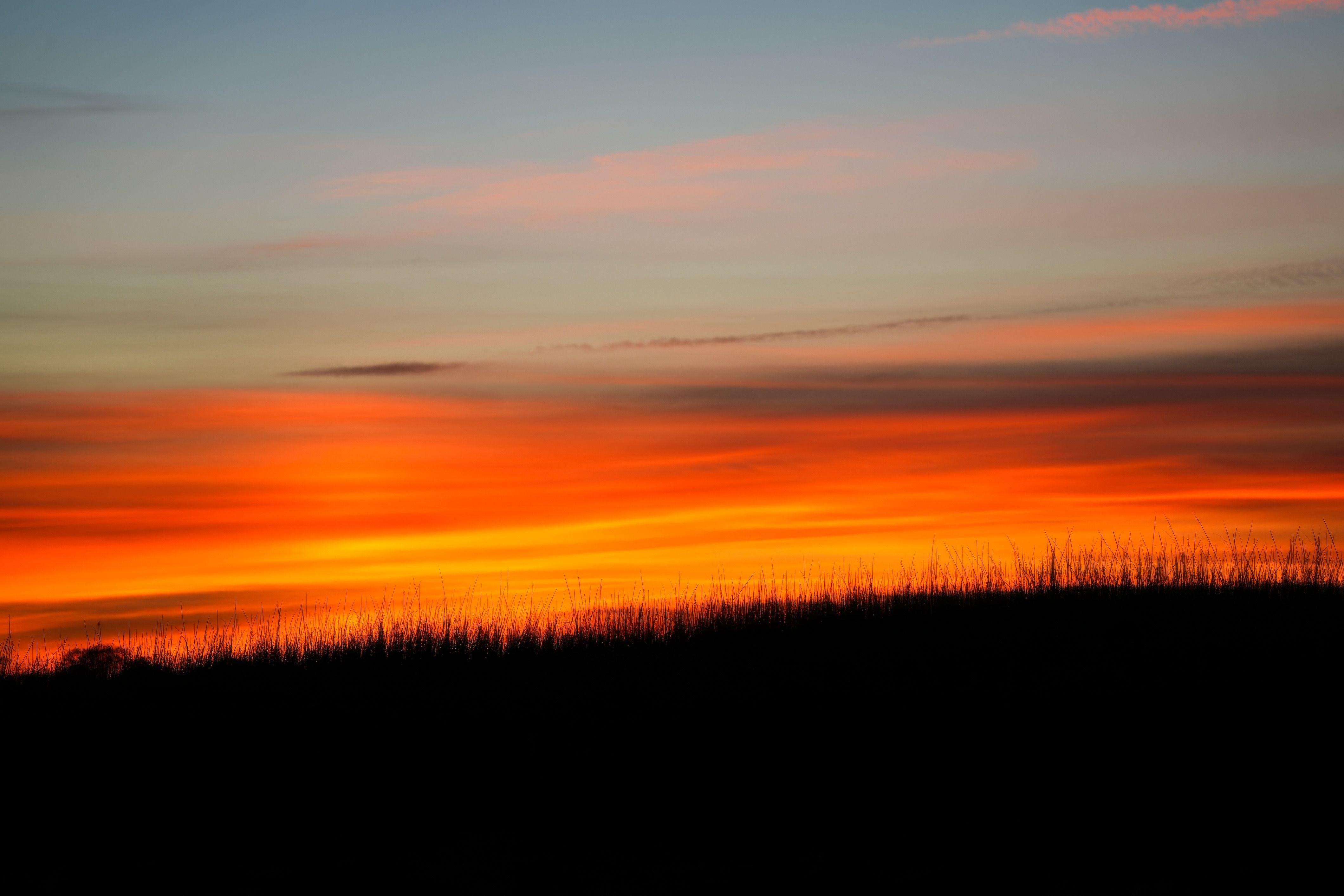 70,000+ Best Sunset Pictures · 100% Free Download · Pexels Stock Photos