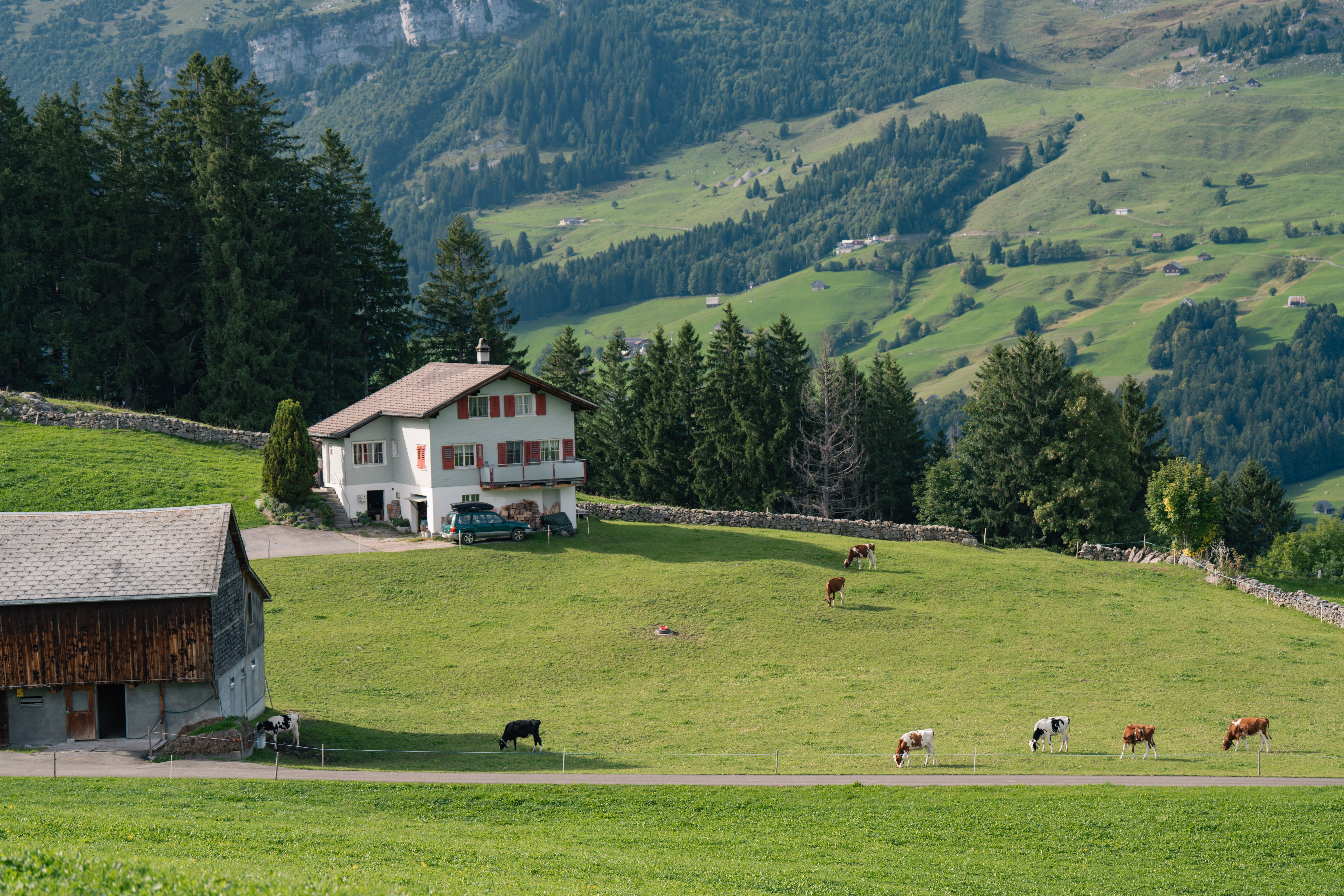 Scenic Swiss Countryside with Farmhouse and Cows · Free Stock Photo