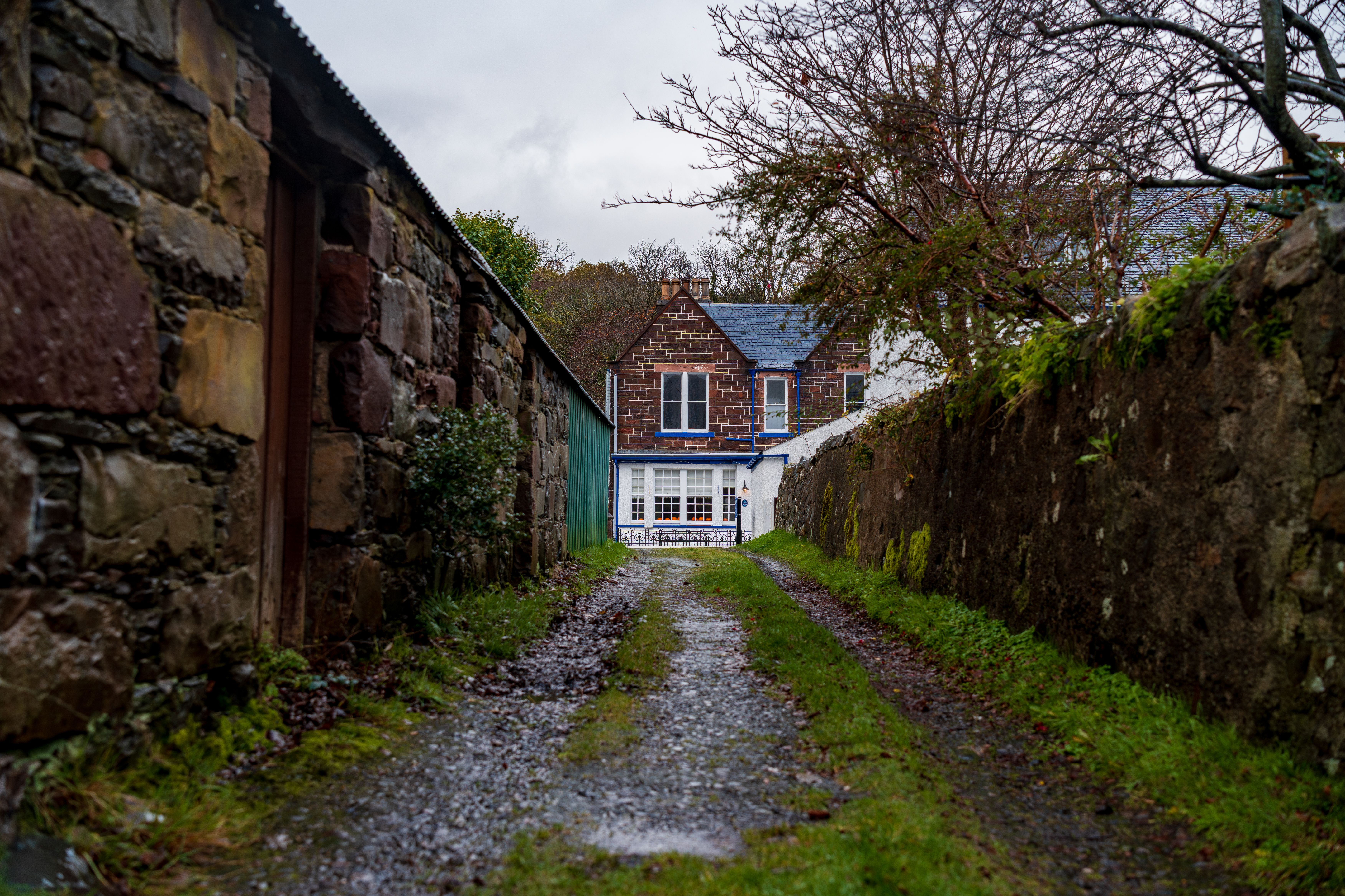 Cottage Core Photos, Download The BEST Free Cottage Core Stock Photos ...