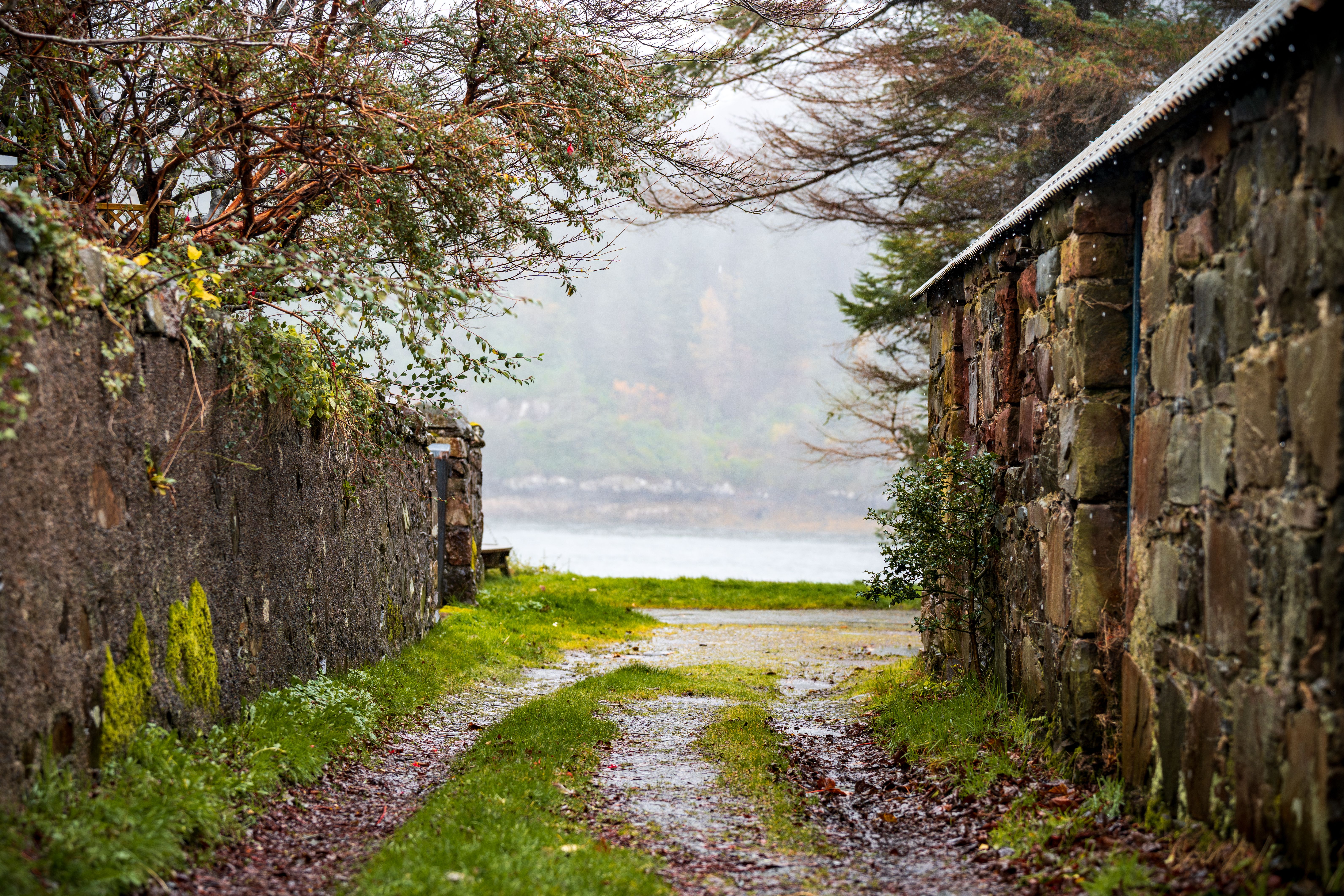 Rustic Stone Pathway Leading to Misty Lake · Free Stock Photo