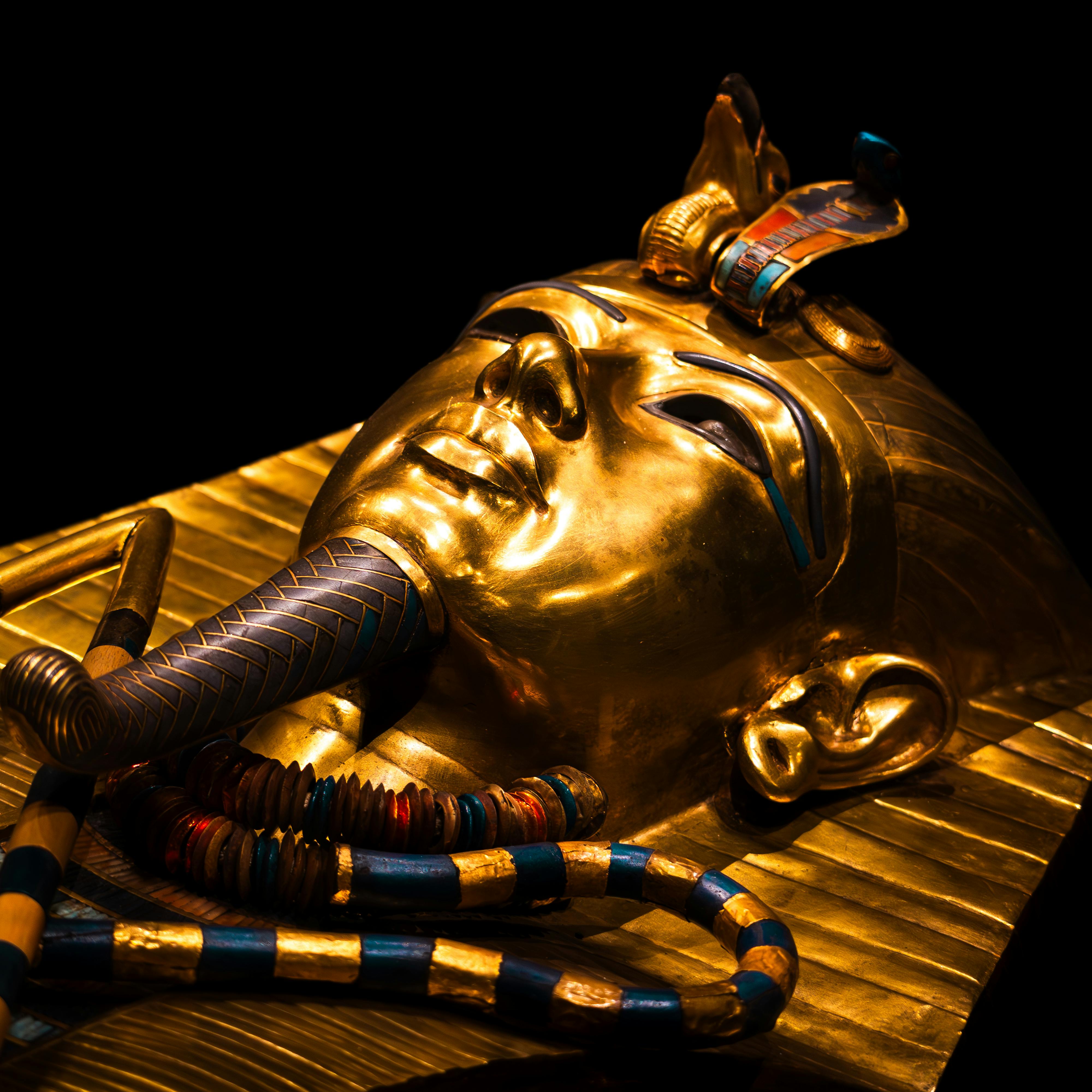 60.000+ ảnh đẹp nhất về Freepik-ai-image-enhancer · Tải xuống miễn phí ...