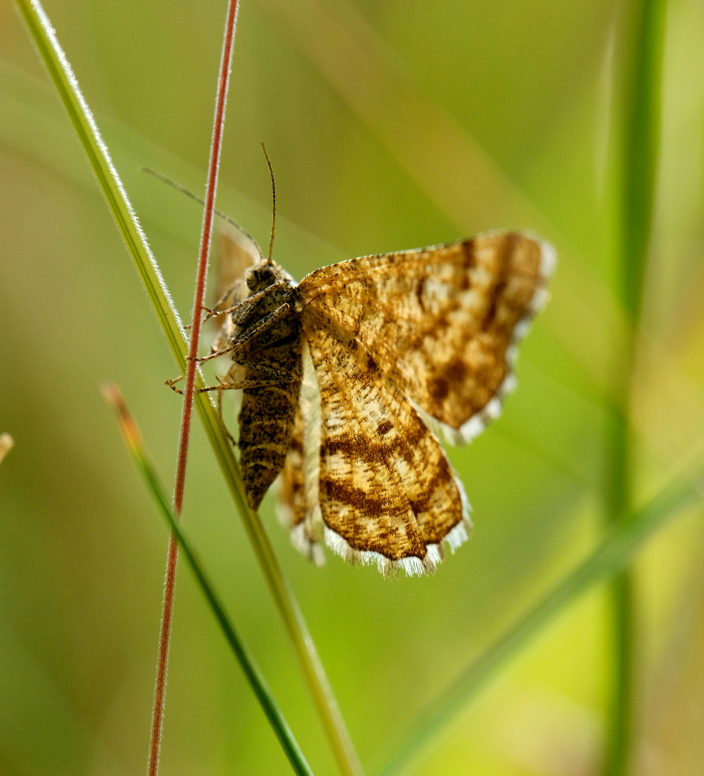 143,948+以上の無料Secret-stars-nita-photos-star-sessions-nita-secret-stars ...