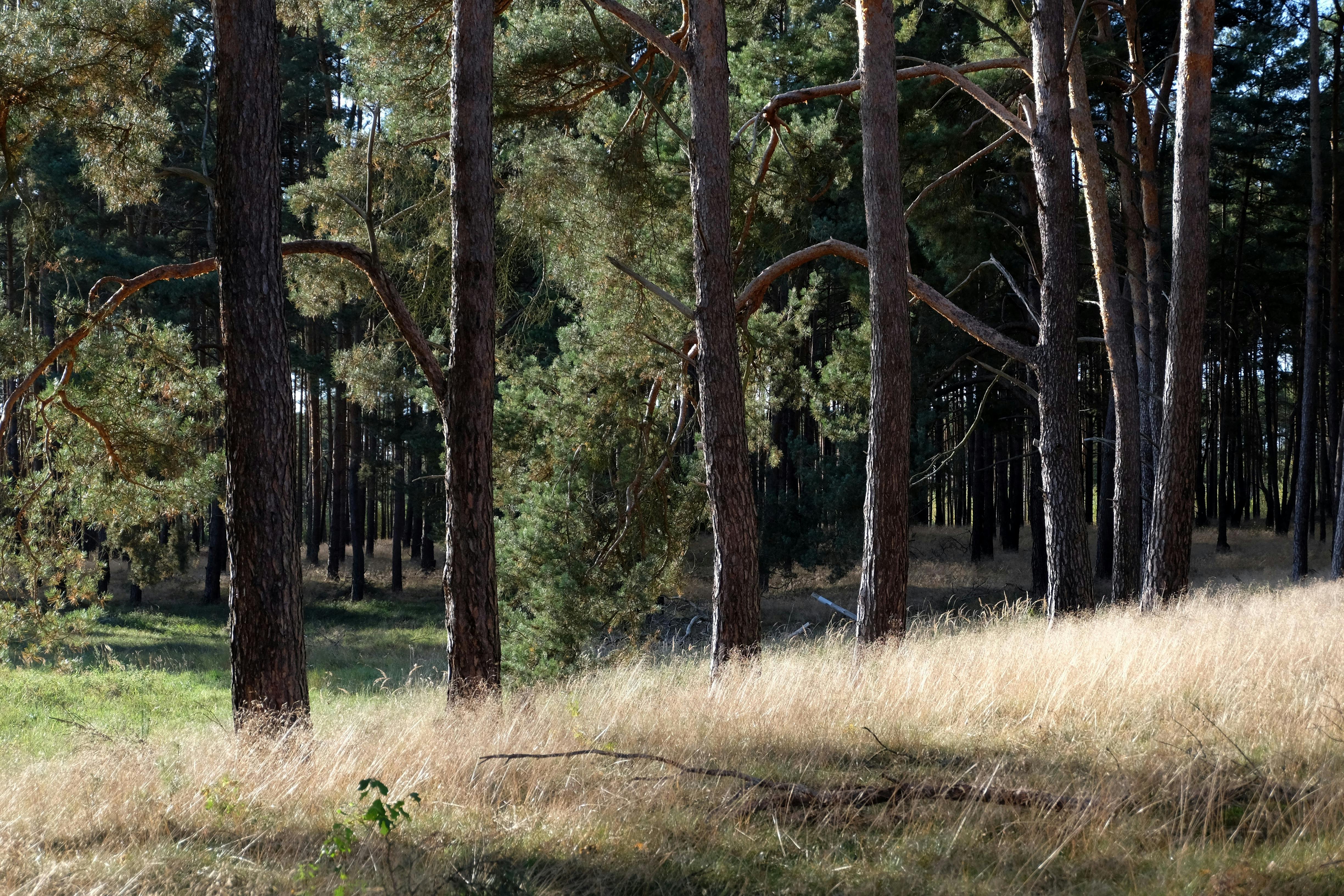 Ep342.3 2010+Free+Download Photos, Download The BEST Free Ep342.3 2010+Free+Download Stock ...