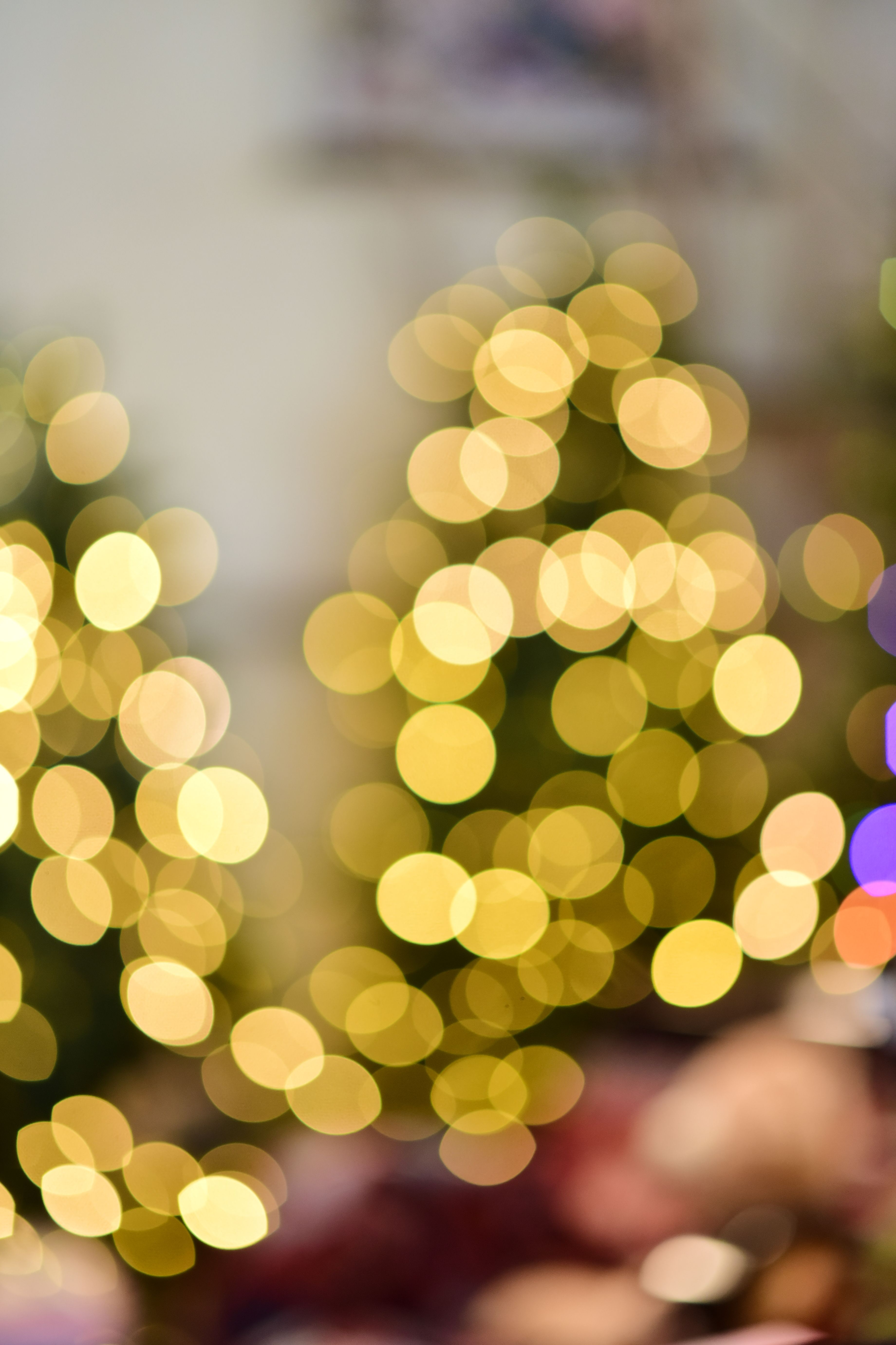 Festive Blurred Christmas Tree Lights Background · Free Stock Photo