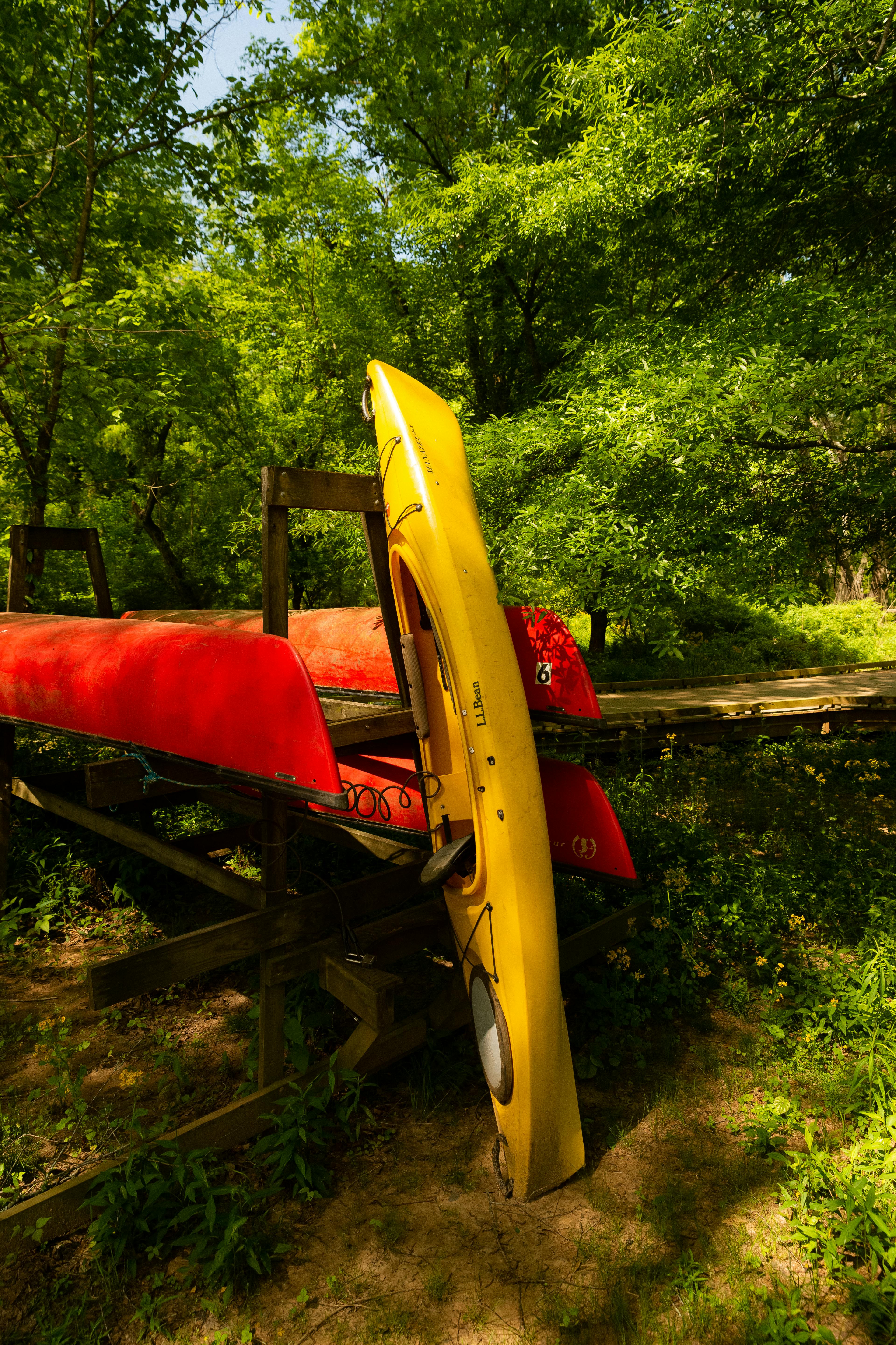 300.000+ Photos-see-new-images-of-jesse-williams-jesse-tyler Bilder und ...