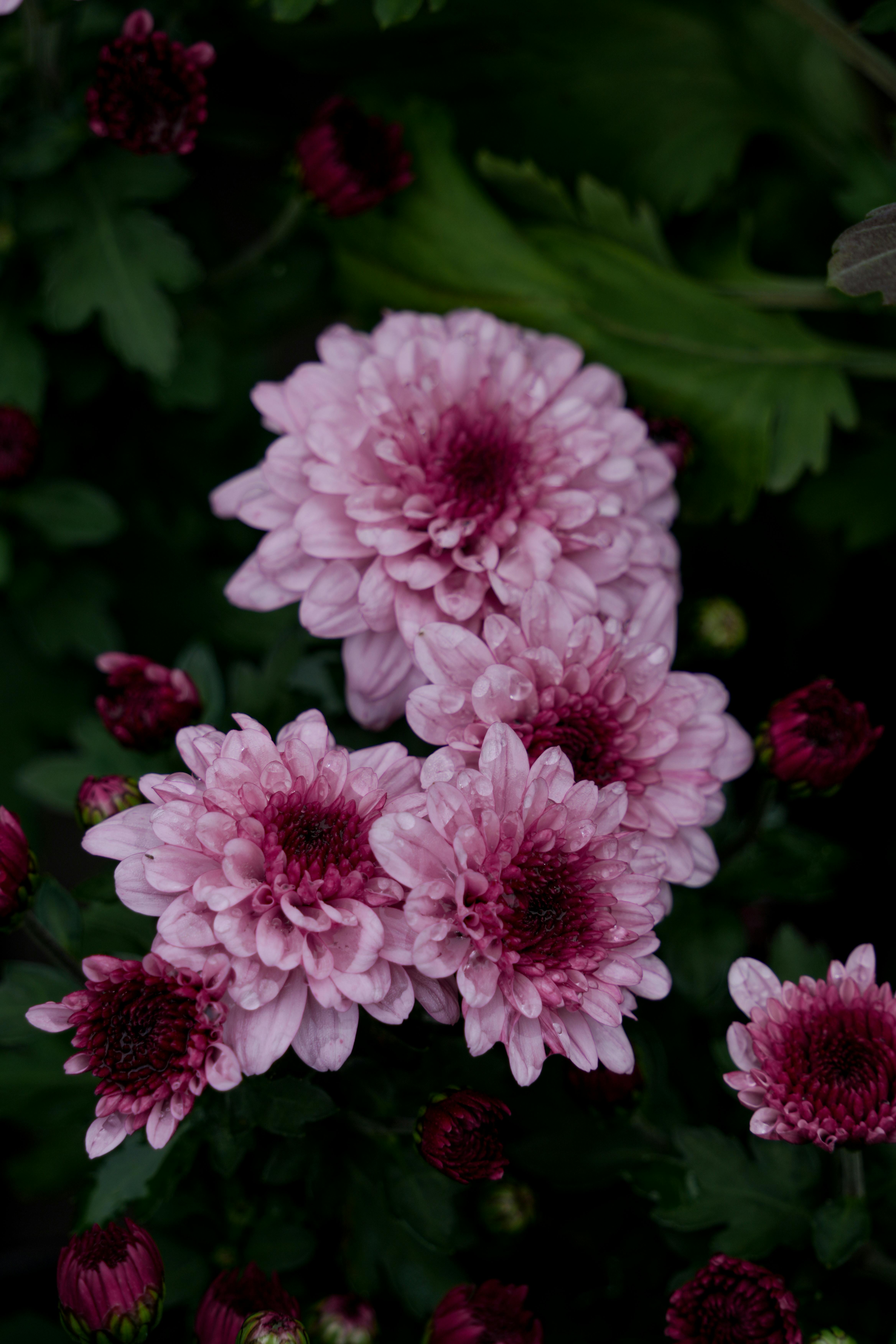 Pink+Puncher Photos, Download The BEST Free Pink+Puncher Stock Photos ...