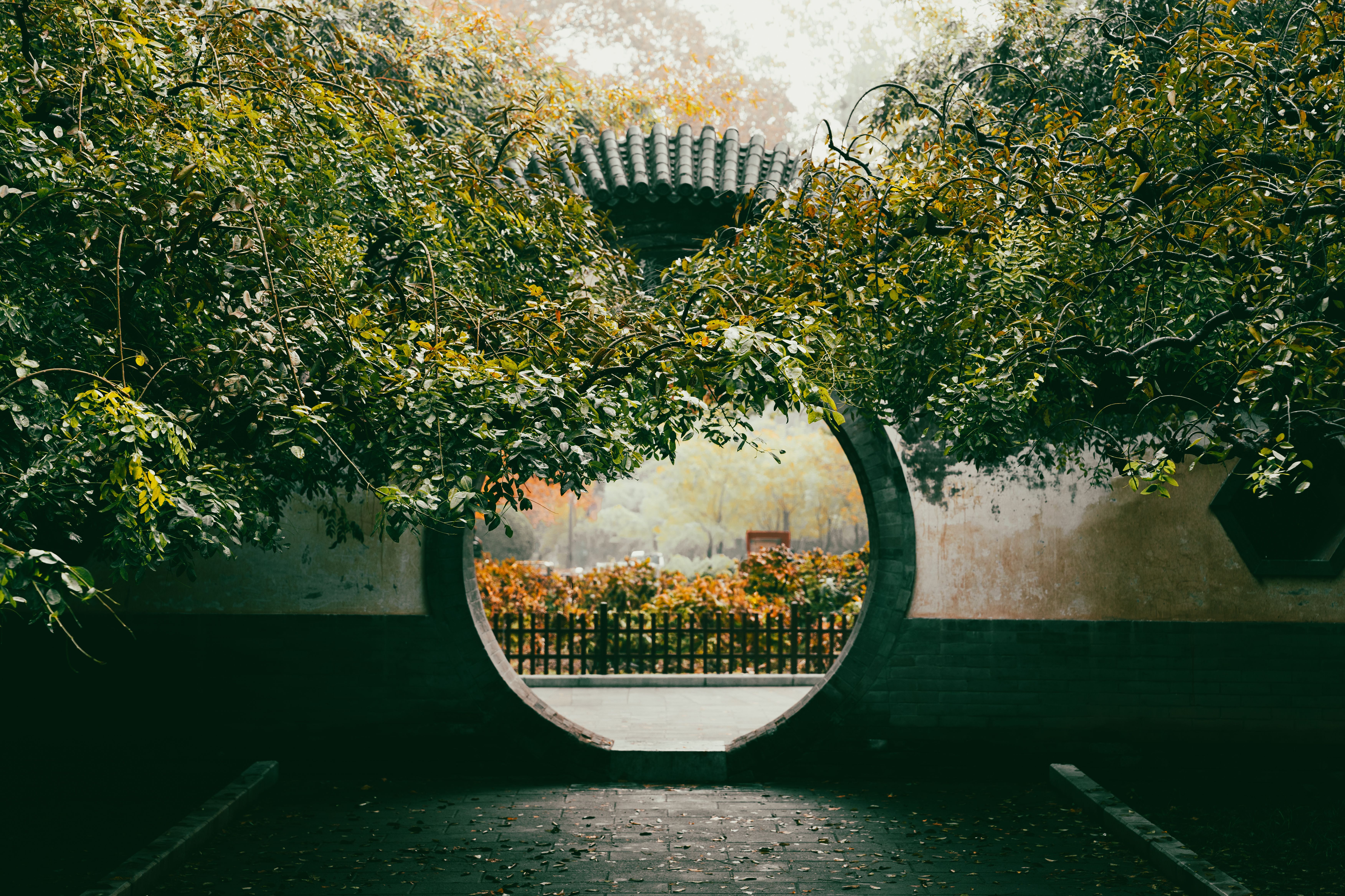 Circle Scenery Photos, Download The BEST Free Circle Scenery Stock ...