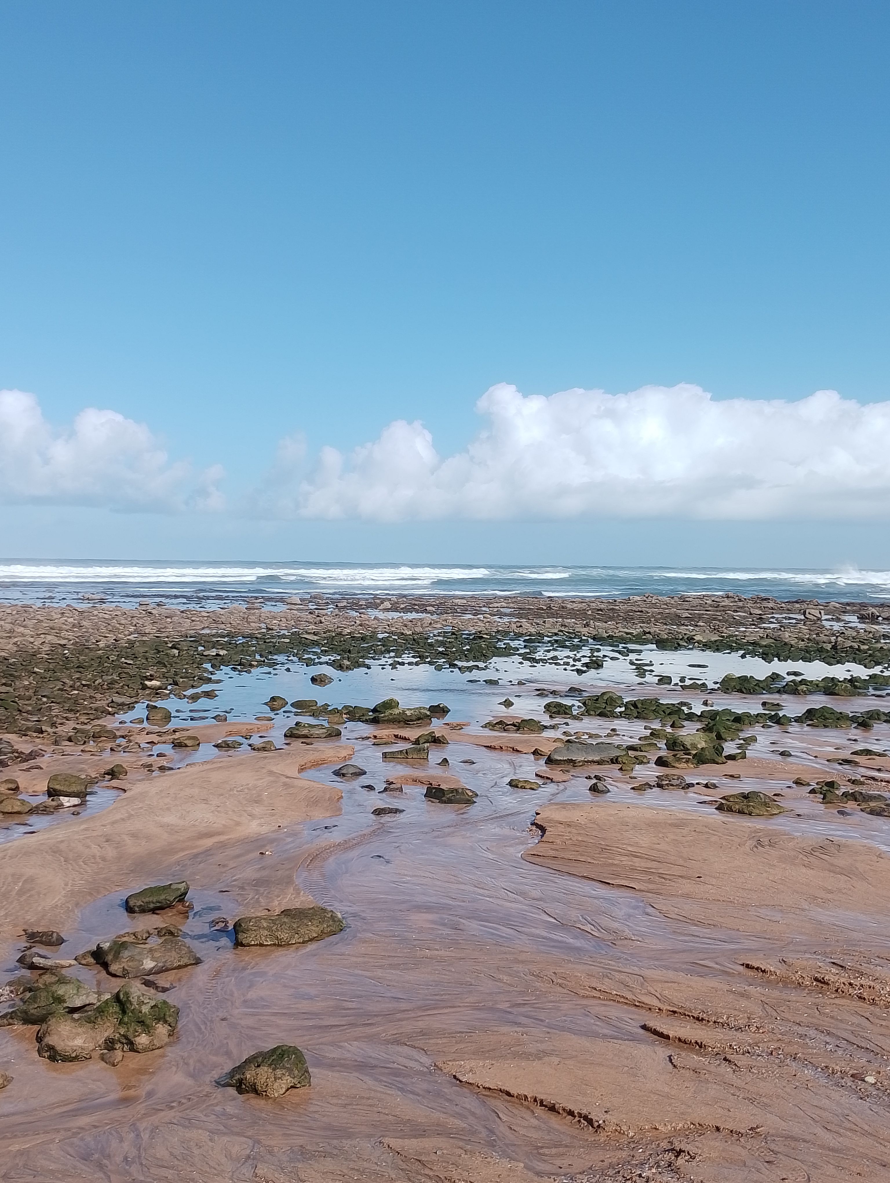 Shoreline With Water Photos, Download The BEST Free Shoreline With ...