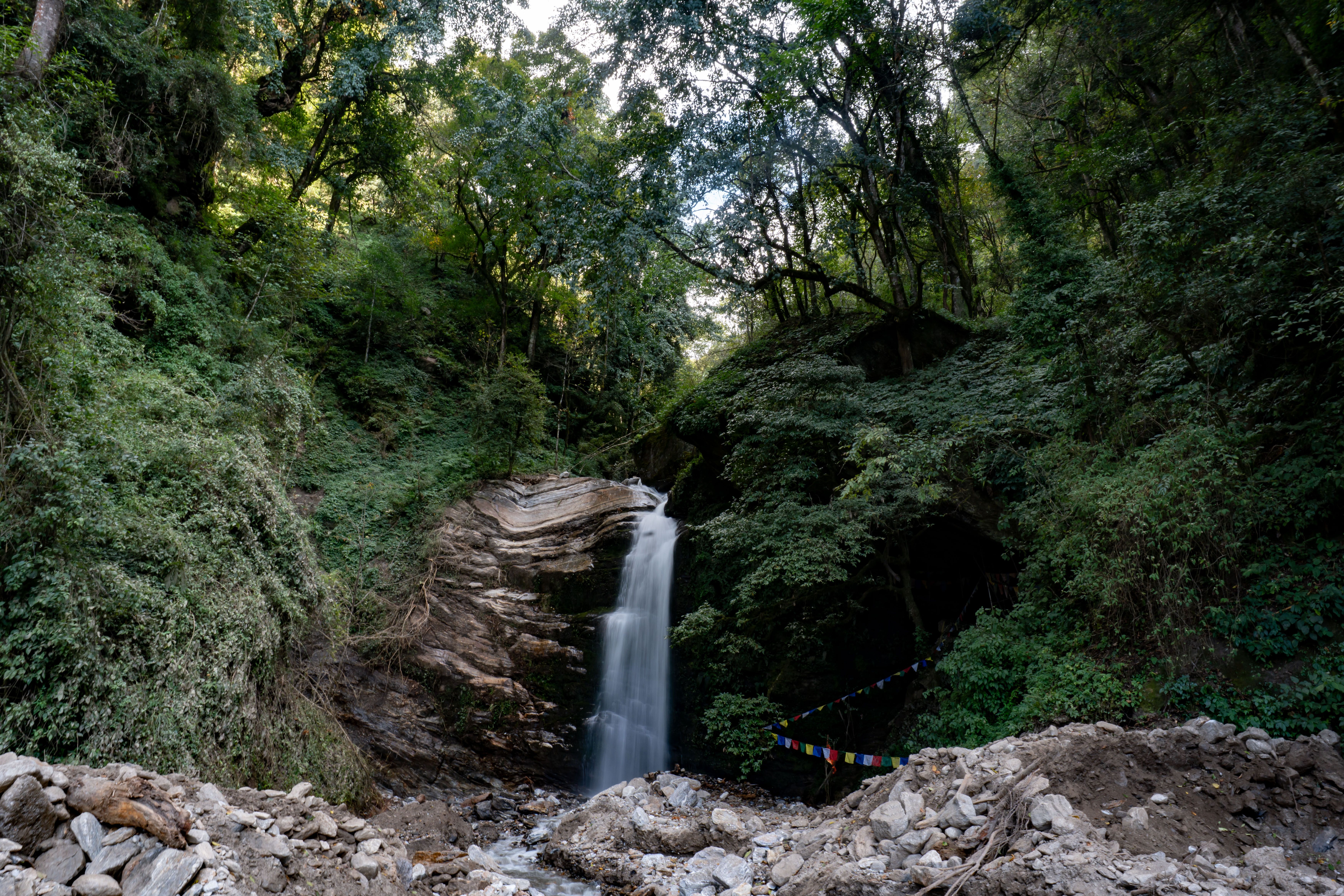 Serene Waterfall in Lush Bhutanese Forest · Free Stock Photo