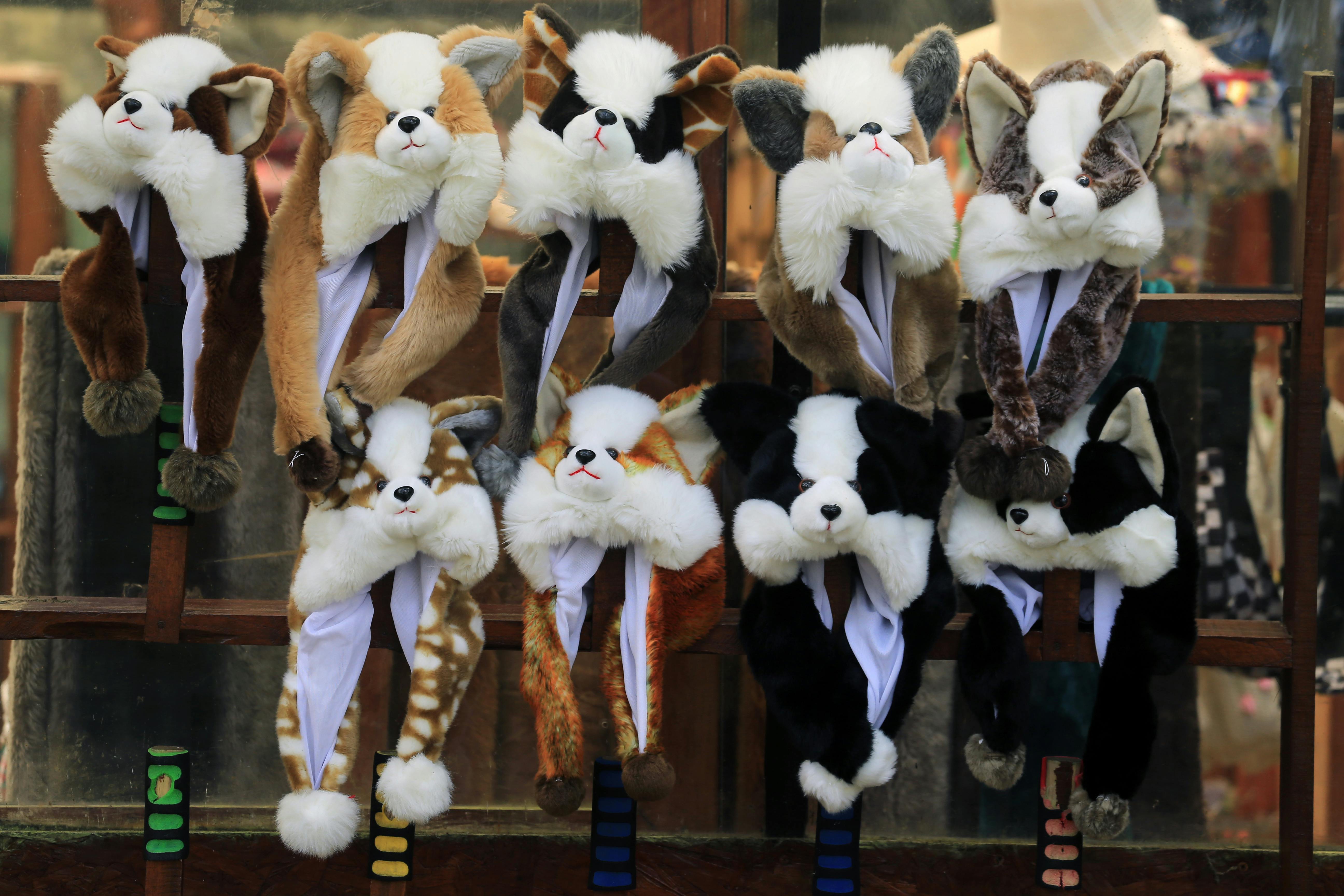 Plush Animal Hats Display on Market Stall · Free Stock Photo
