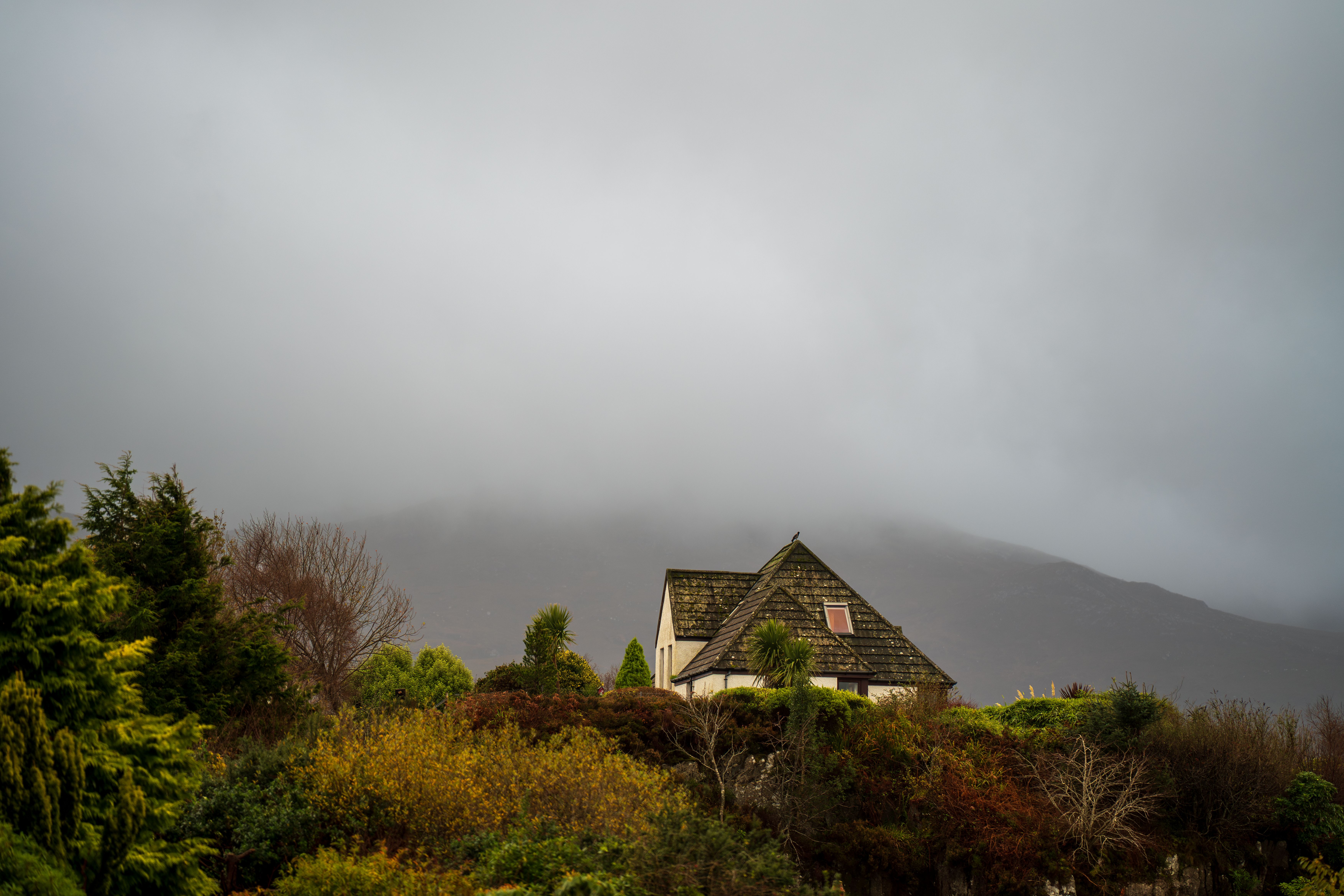 Charming Countryside Cottage Surrounded by Nature · Free Stock Photo