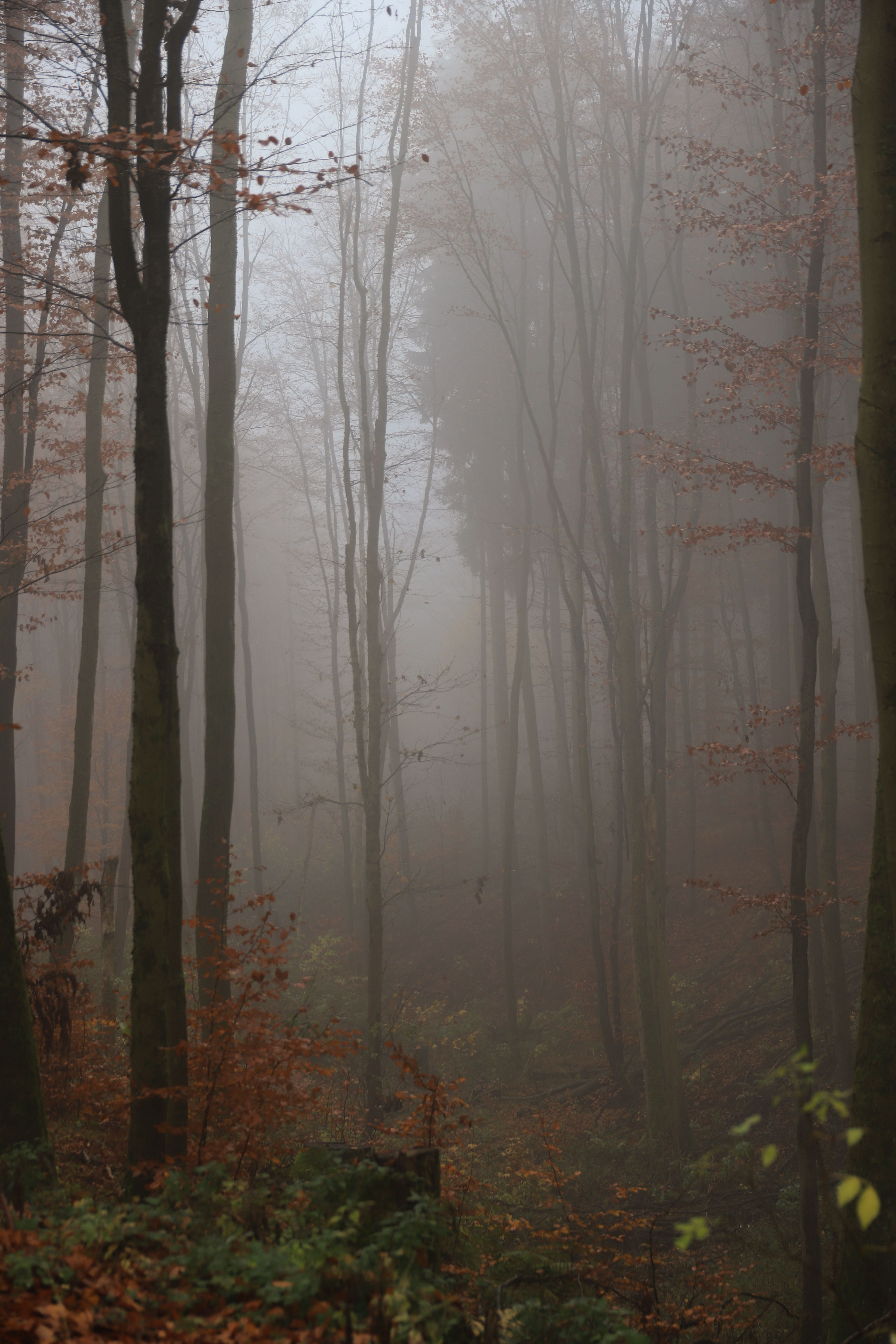 Dull Grey Sky Photos, Download The BEST Free Dull Grey Sky Stock Photos ...