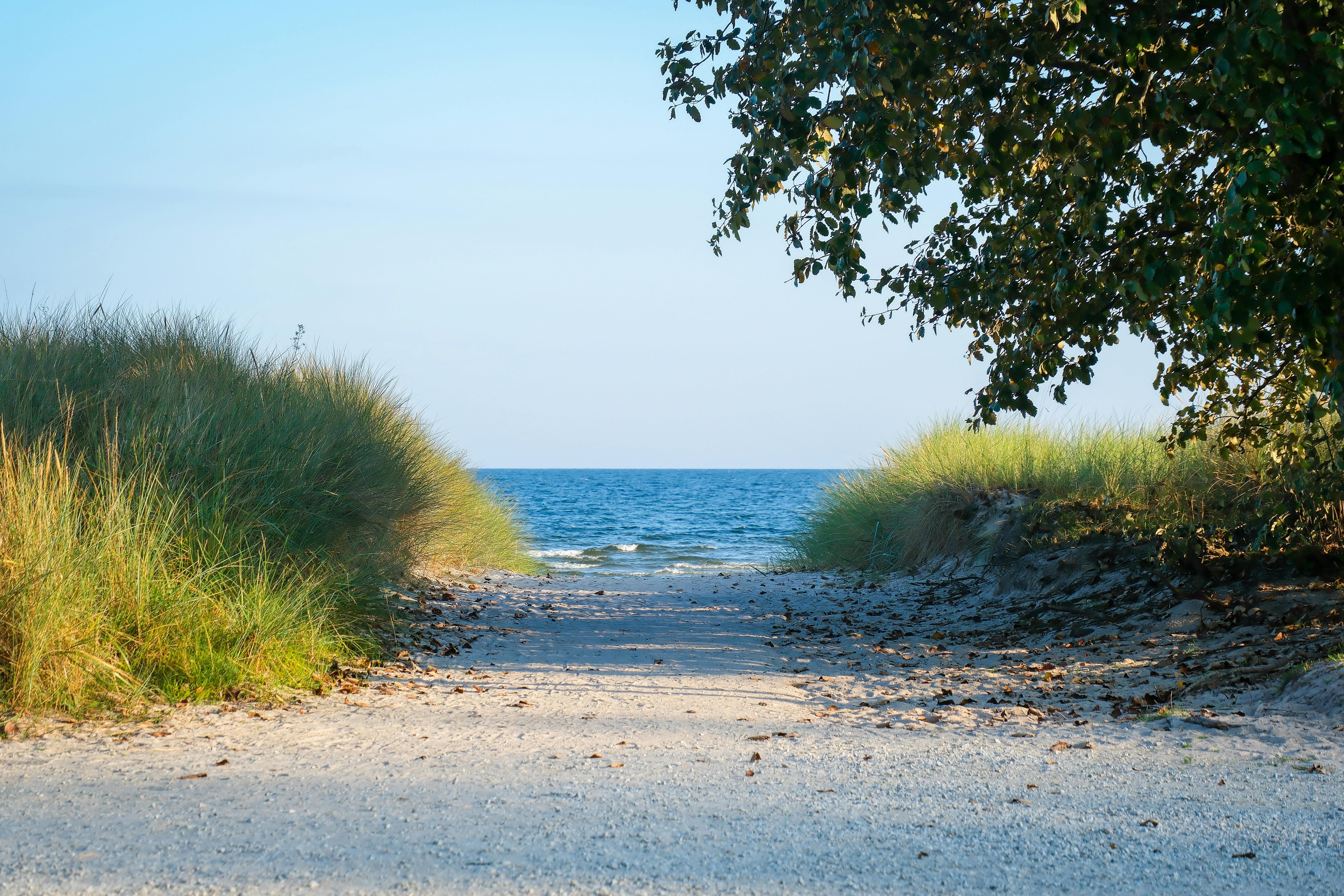 Scenic Beach Path to Ocean Horizon · Free Stock Photo