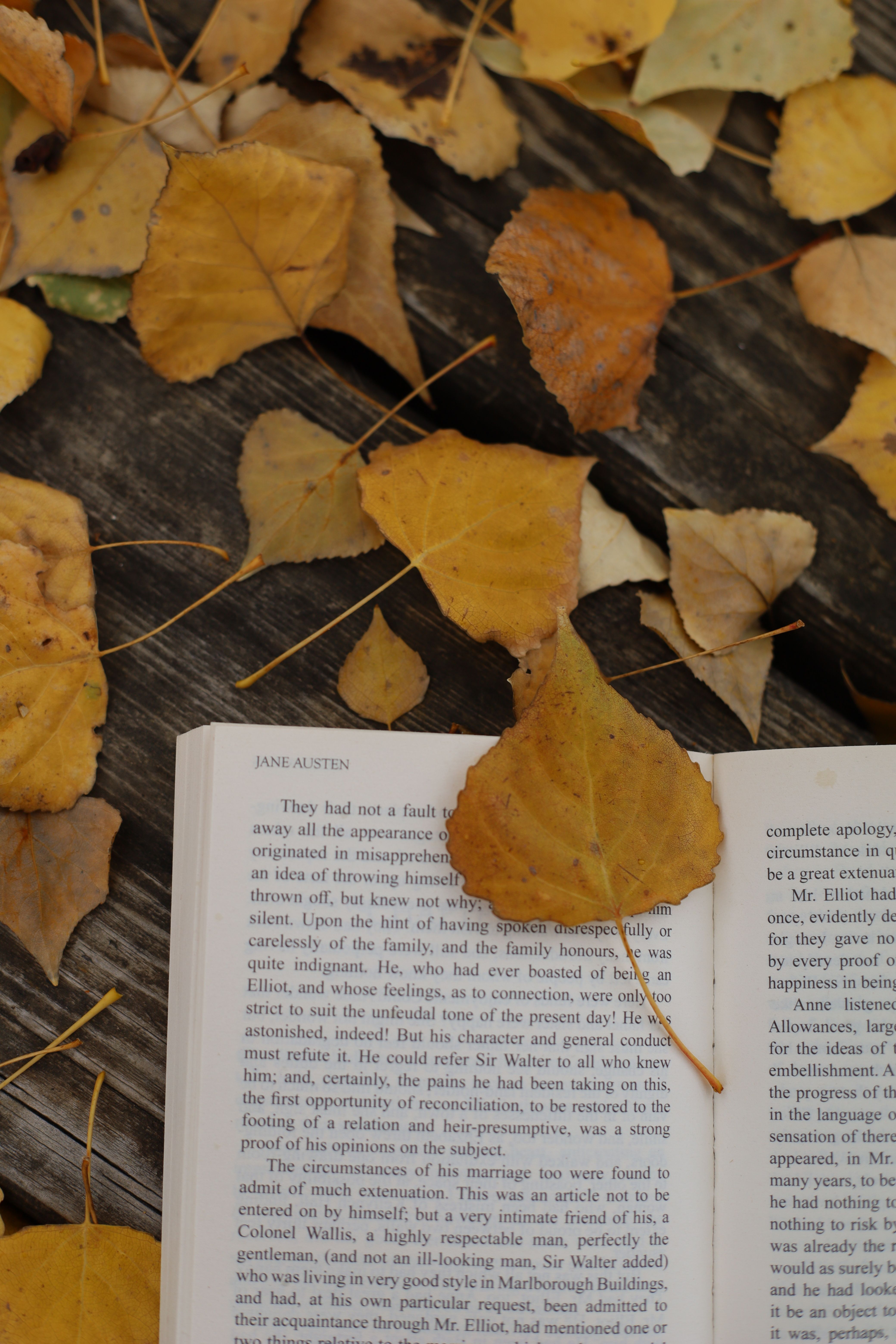 Open Book with Autumn Leaves on a Rustic Surface · Free Stock Photo