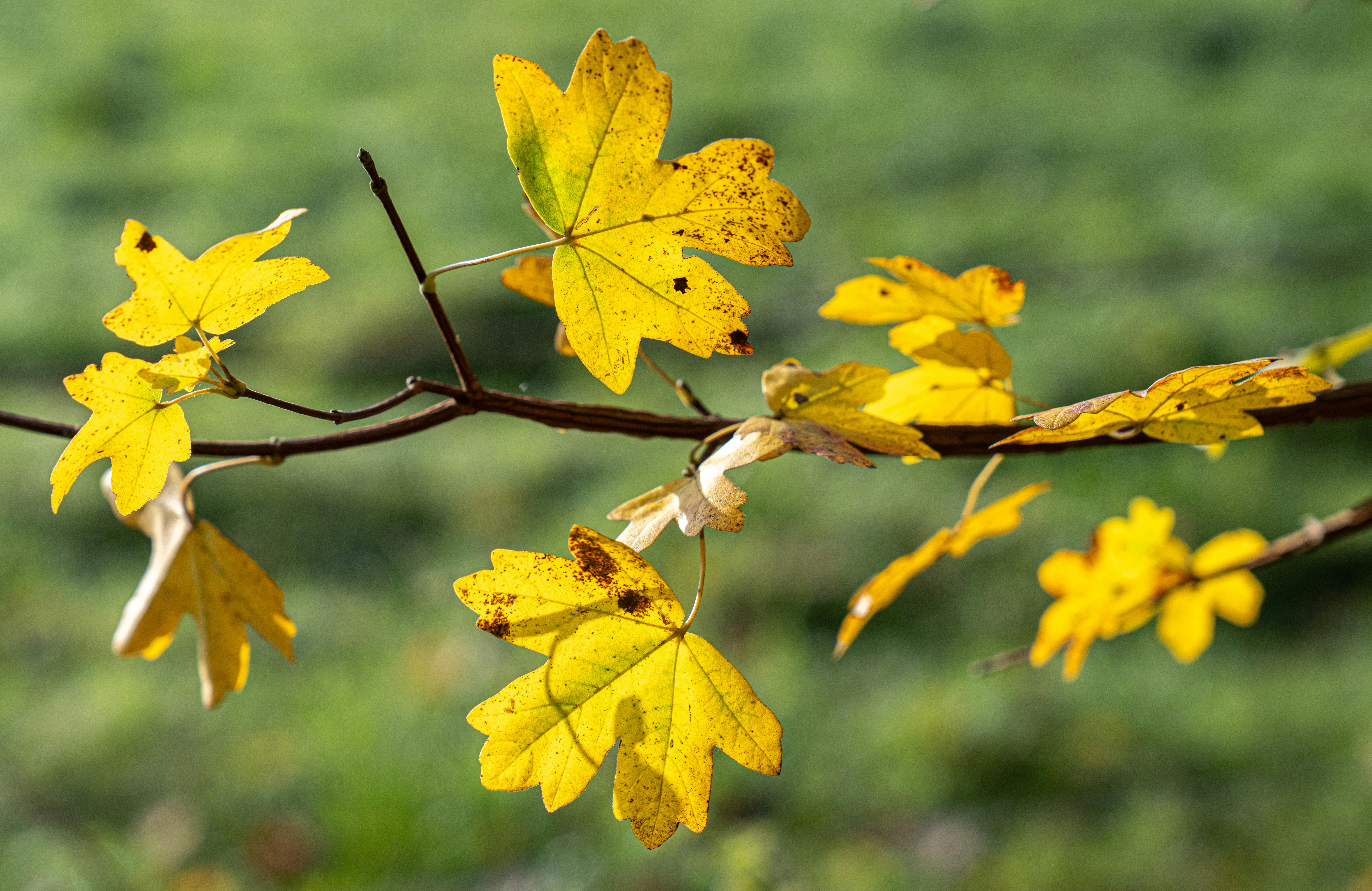 300.000+ Download-google-earth-high-resolution-maps-google-earth-high ...