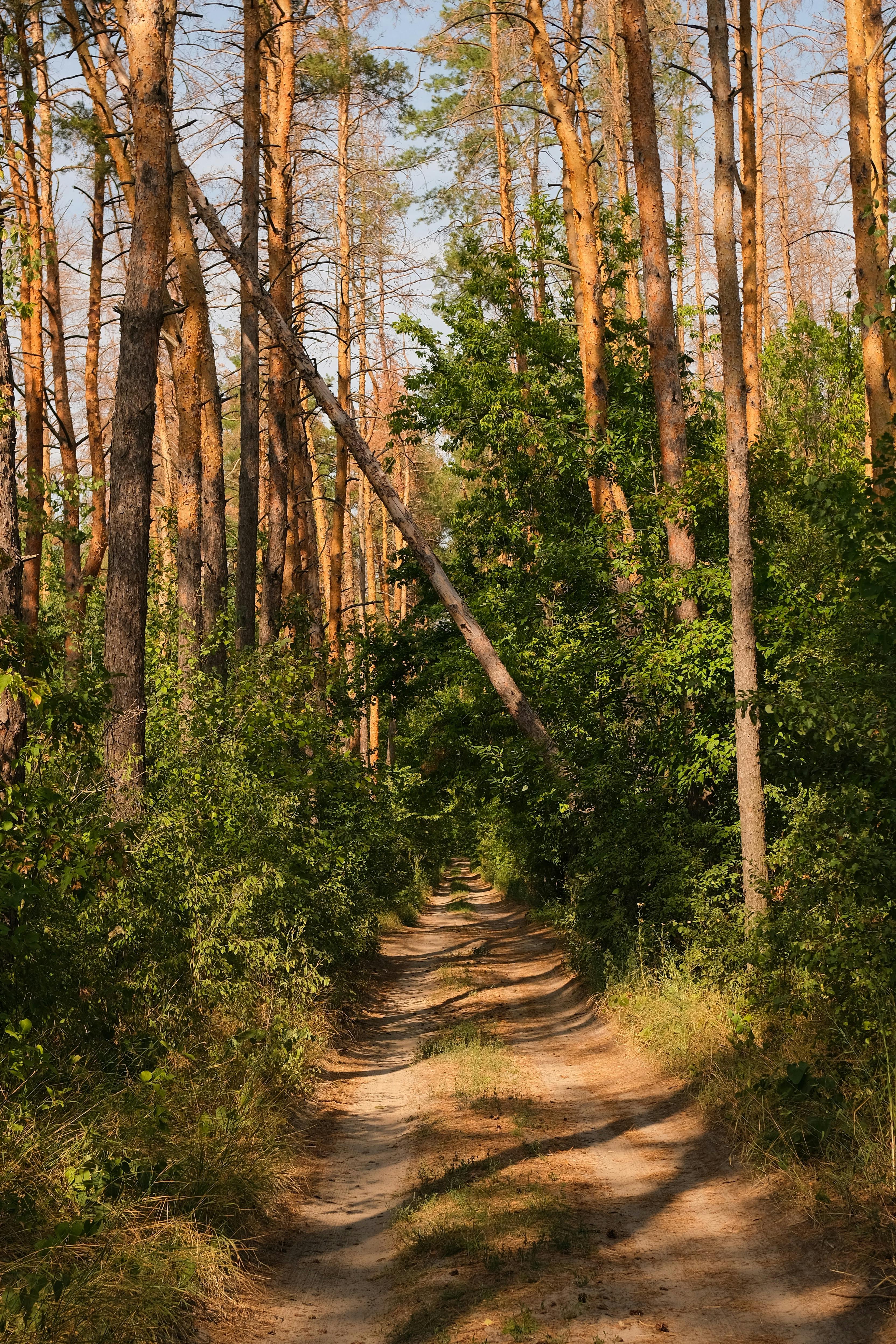 Clip+&+S Photos, Download The BEST Free Clip+&+S Stock Photos & HD Images