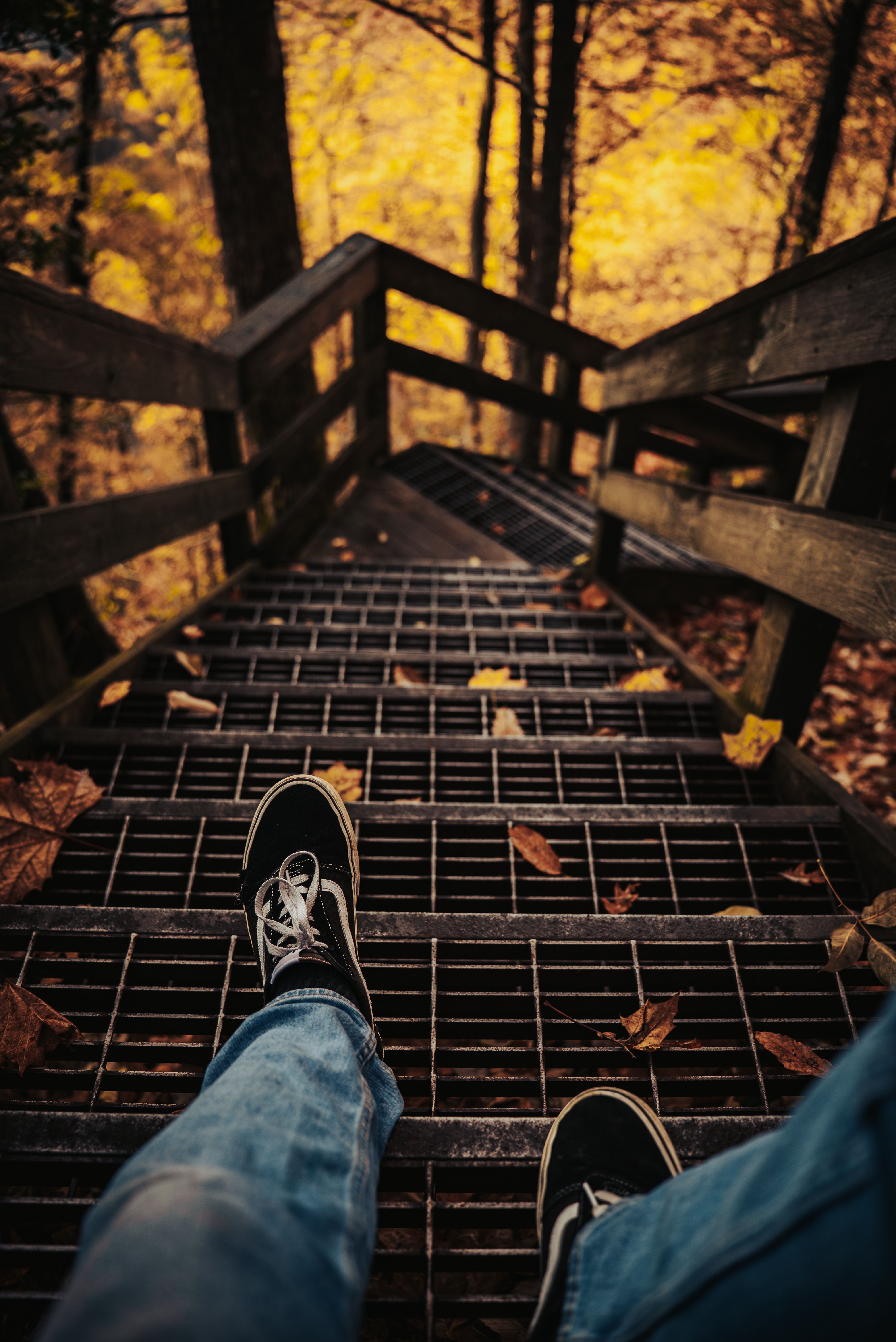 Autumn Forest Stairway with Falling Leaves · Free Stock Photo