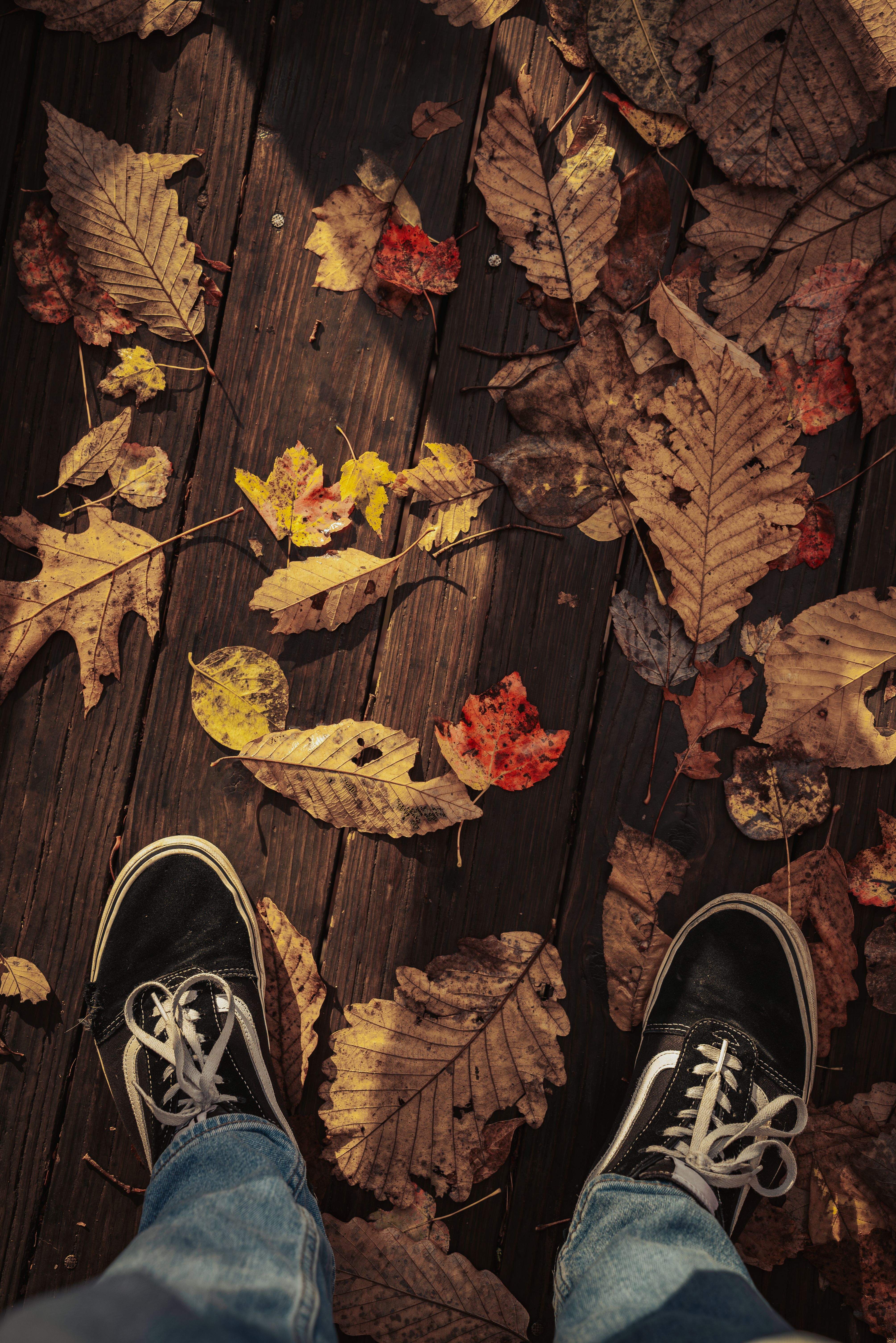 Autumn Leaves on Wooden Deck with Sneakers · Free Stock Photo