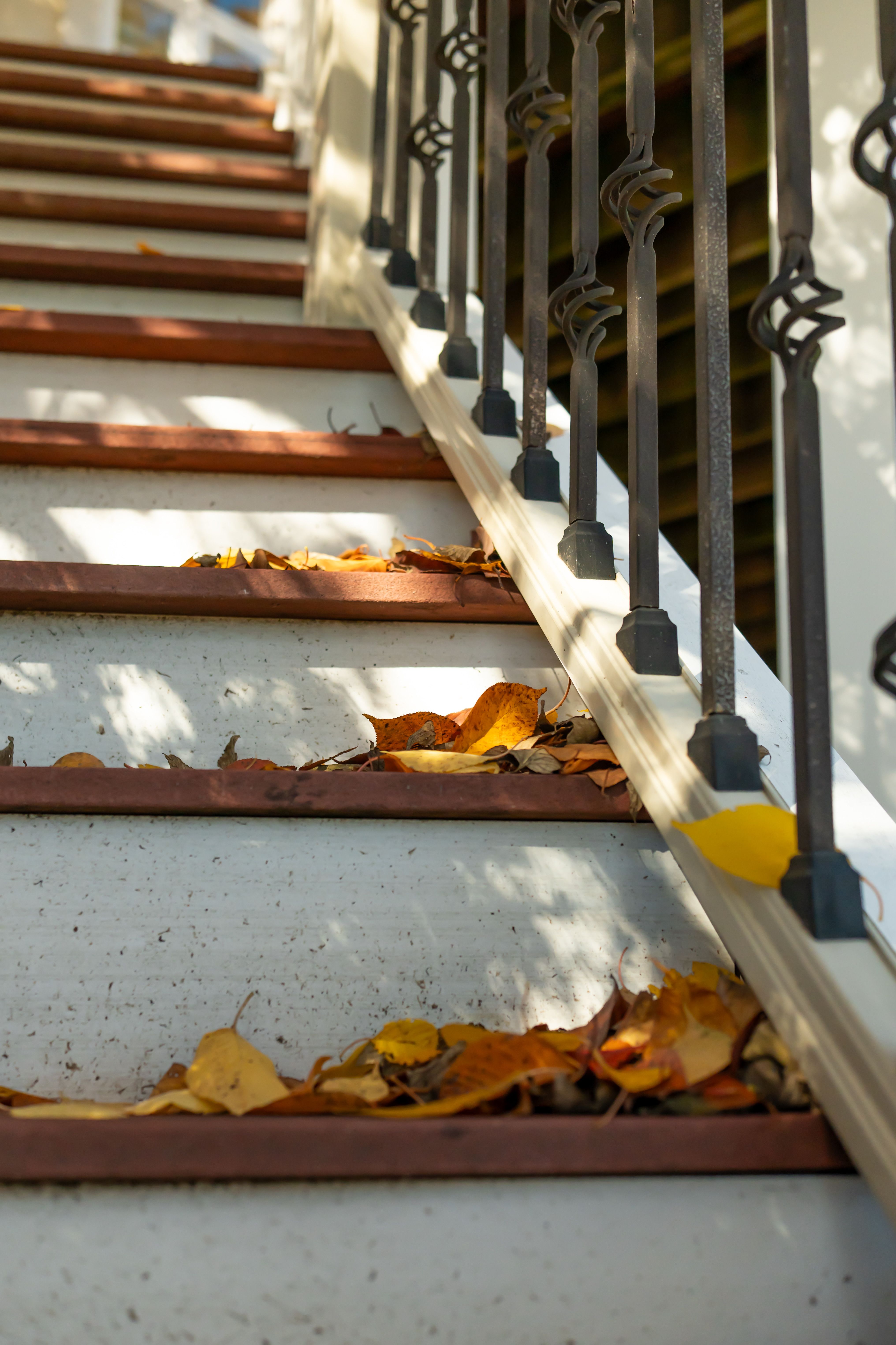 Autumn Leaves on Outdoor Wooden Stairs, VA · Free Stock Photo