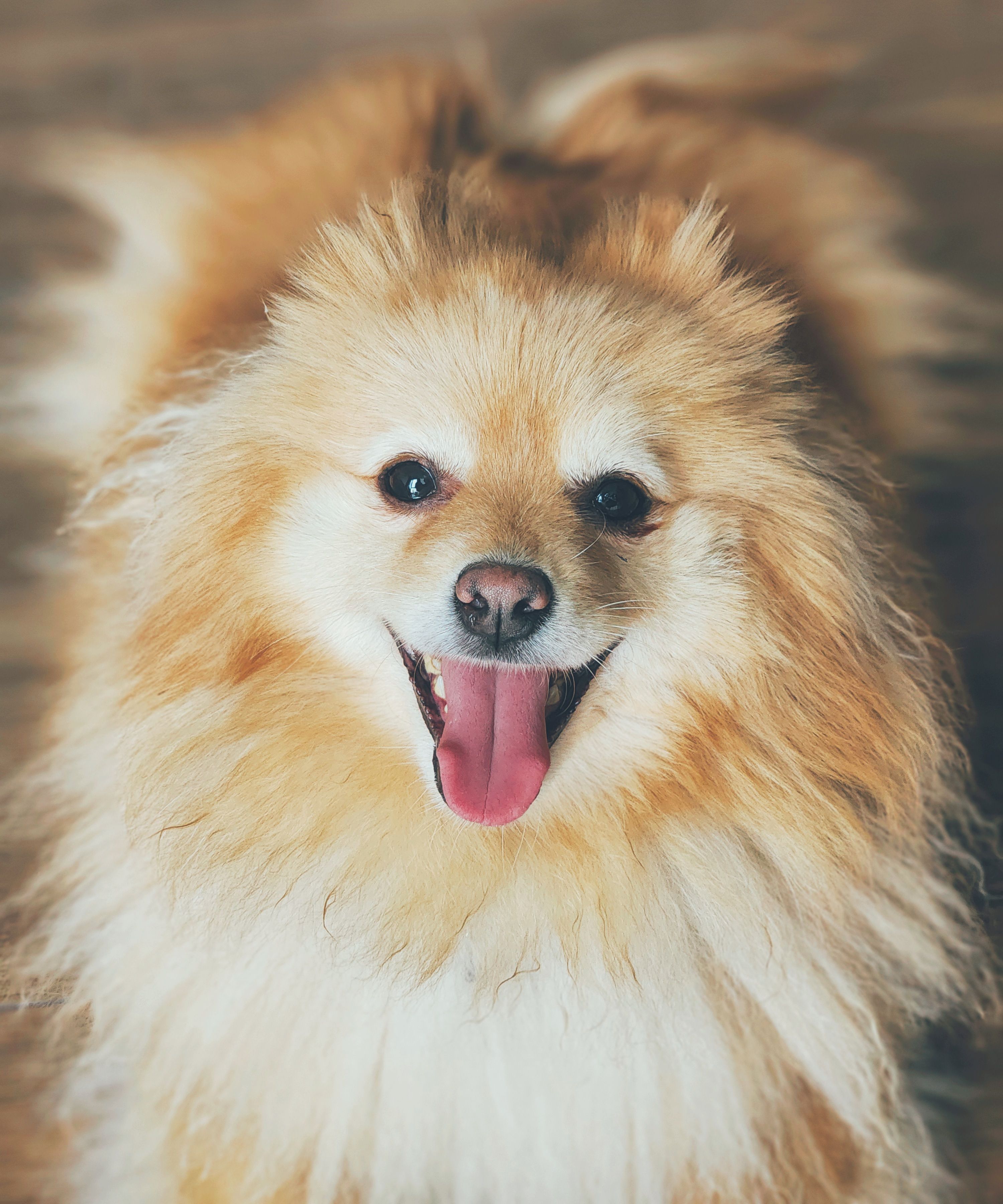 Licks+On Photos, Download The BEST Free Licks+On Stock Photos & HD Images