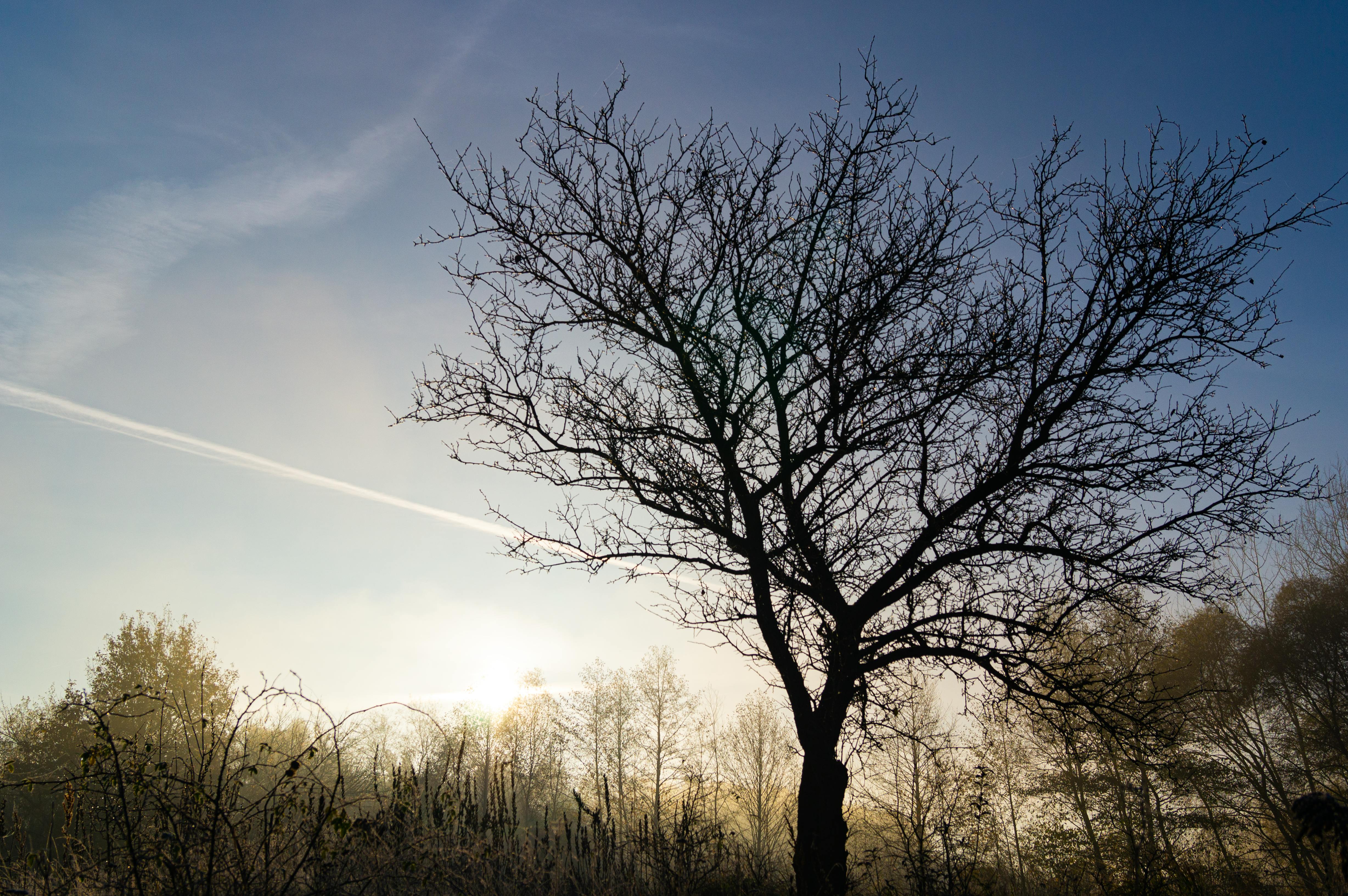 1 000 000+ Mindy-collins-top-10-most-beautiful-and-hottest-brazilian ...