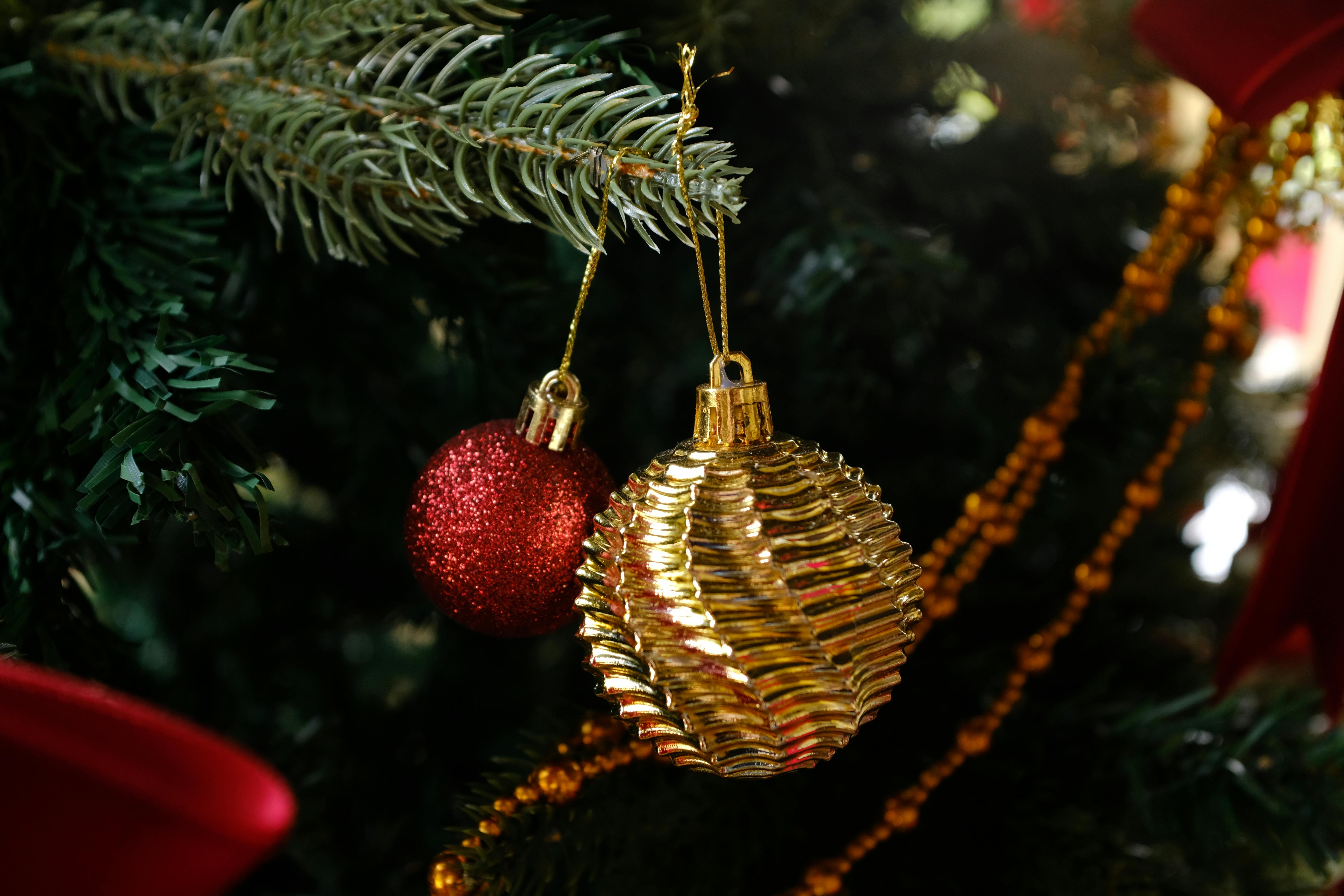 1.000+ Polonyalıyım+ben Bilder und Fotos · Kostenlos Downloaden ...