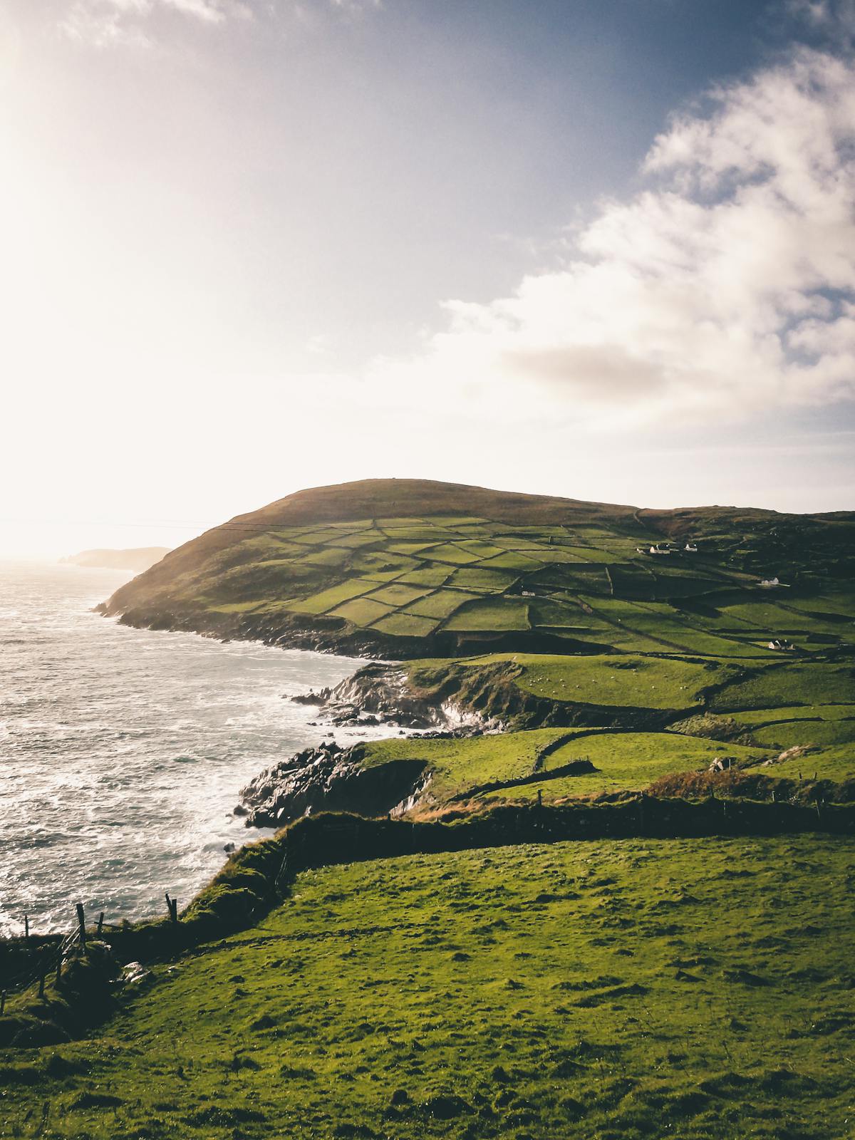 Irish Fields Photos, Download The BEST Free Irish Fields Stock Photos ...