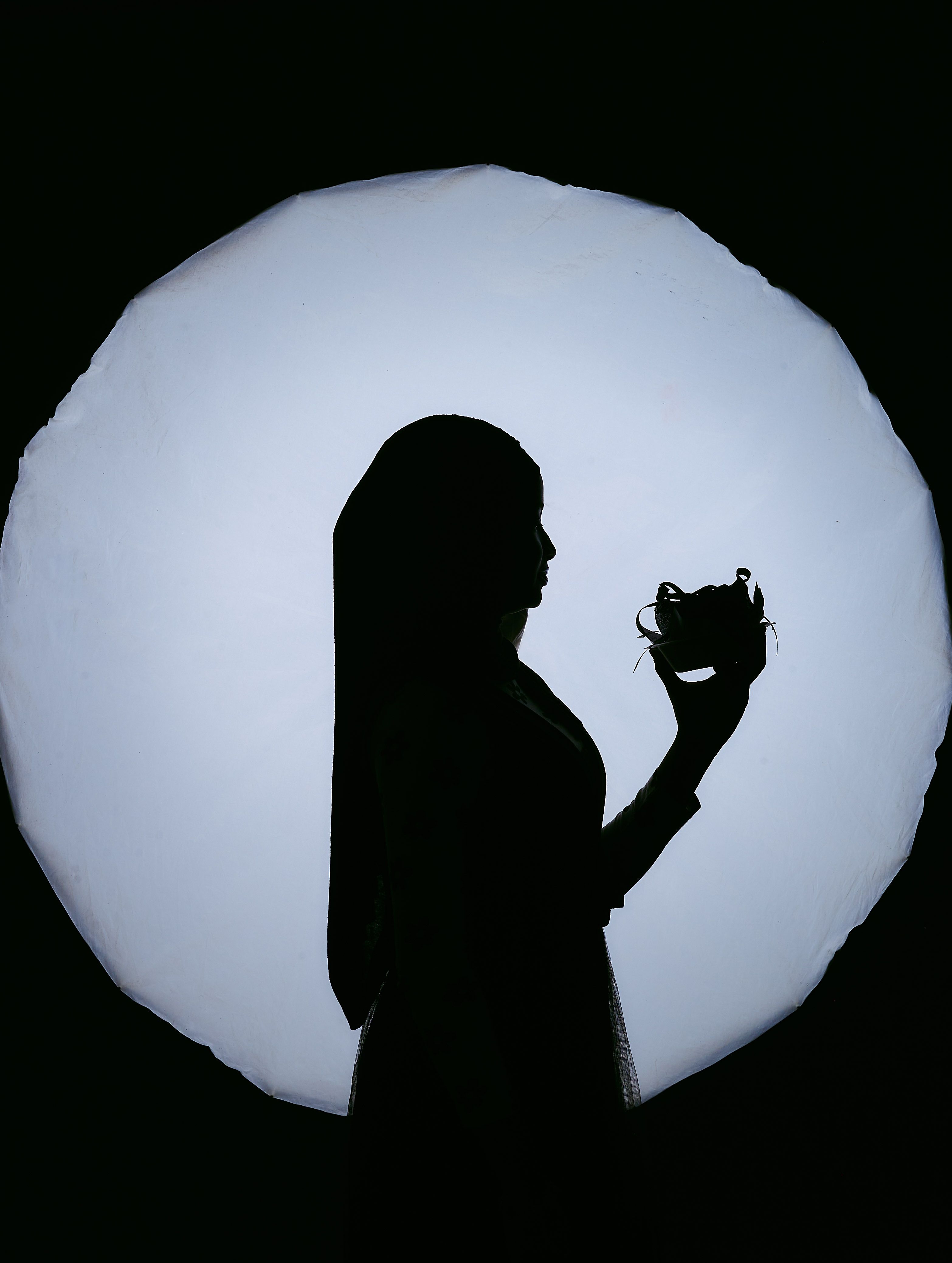 Mystical Silhouette of Woman Holding Object · Free Stock Photo