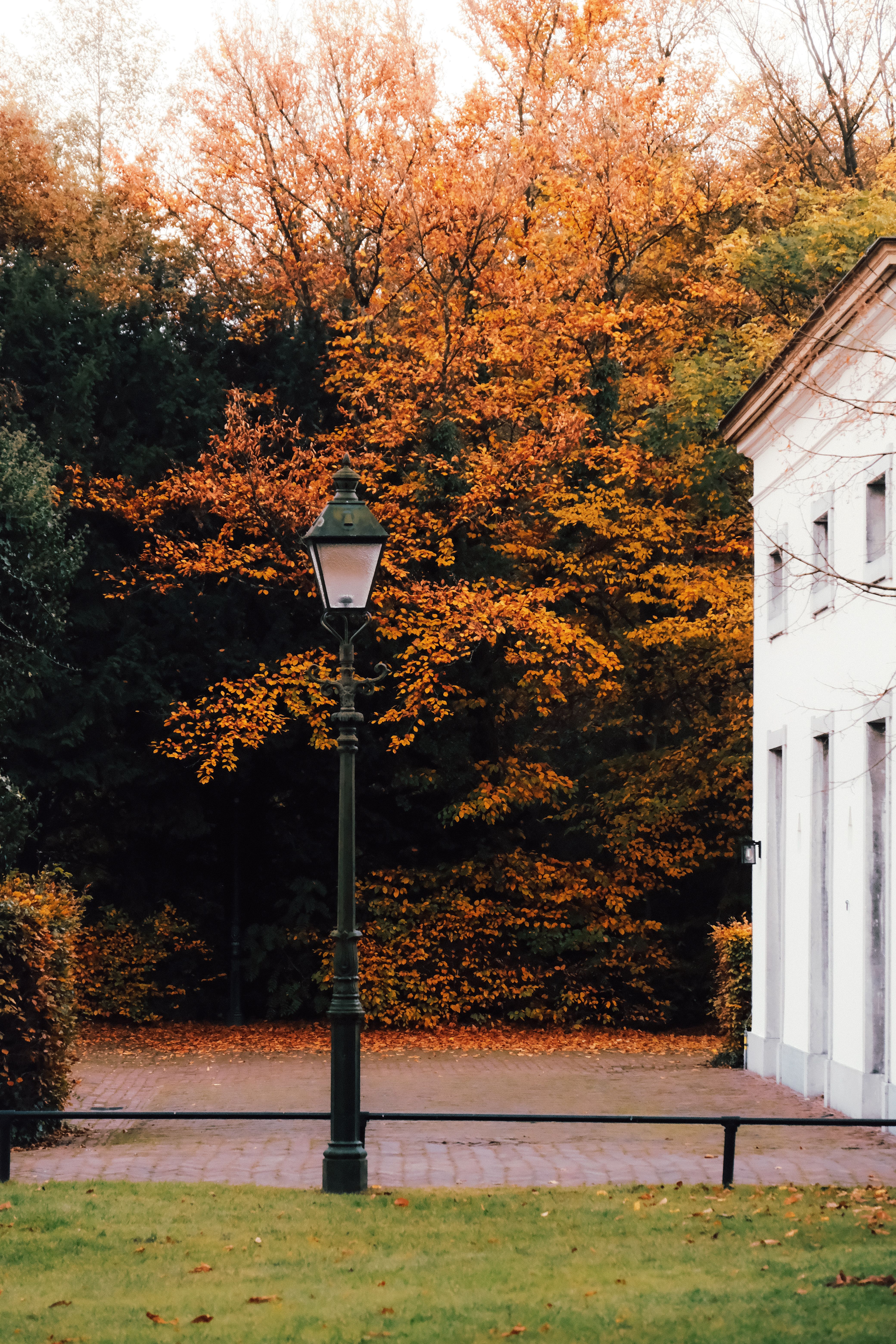 Charming Autumn Scene with Vintage Lamp Post · Free Stock Photo