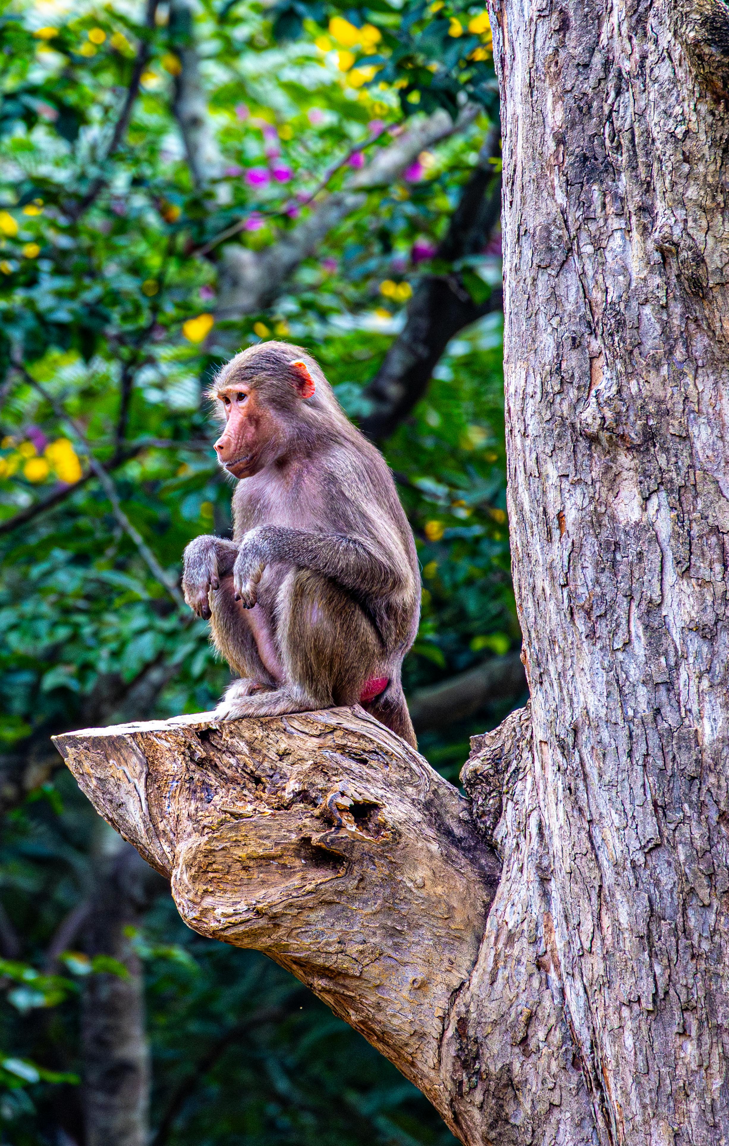 400.000+ beste Microsoft-build-of-openjdk-with-hotspot foto's · 100% gratis downloaden · Pexels ...