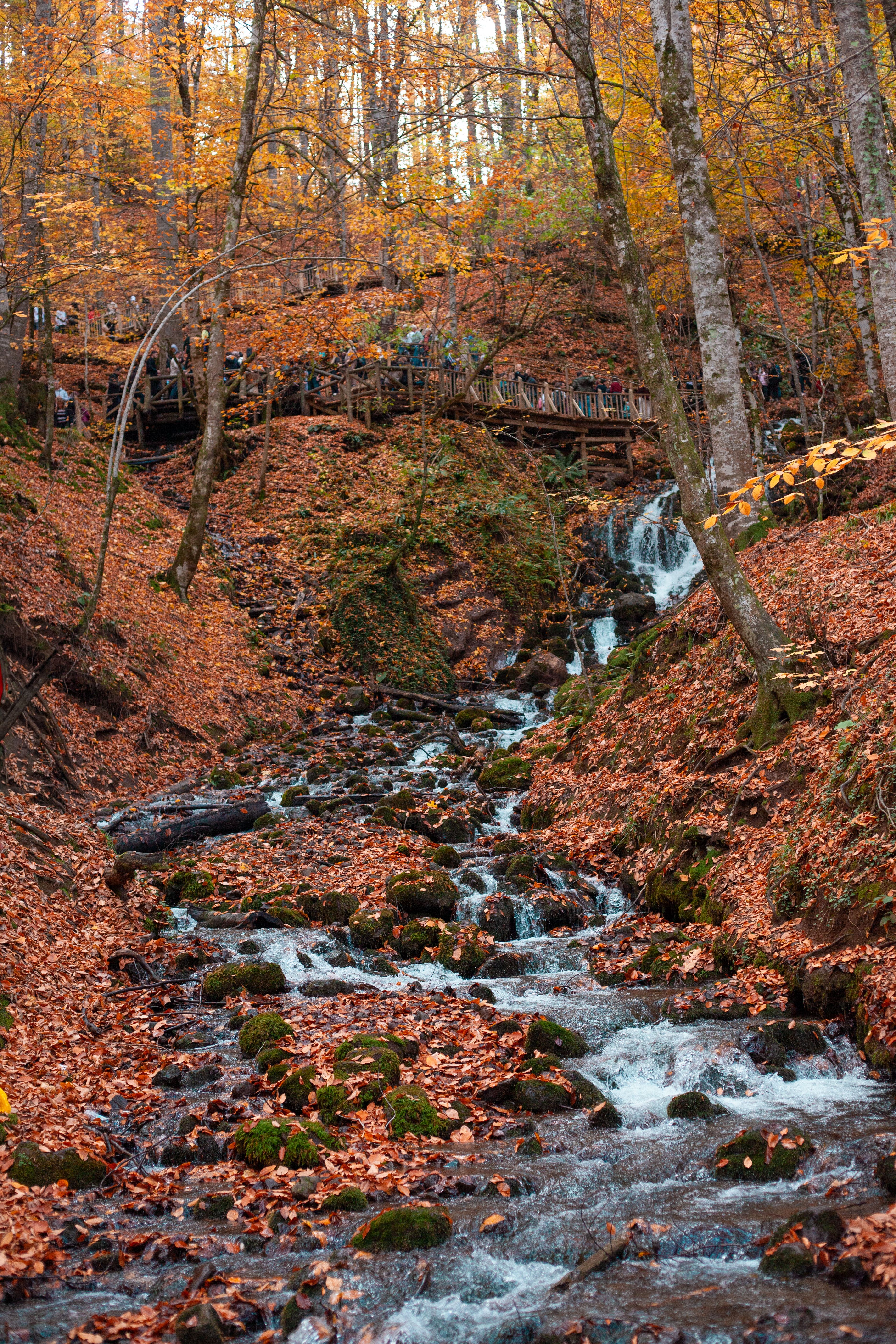 Brown Waterfall Photos, Download The BEST Free Brown Waterfall Stock ...