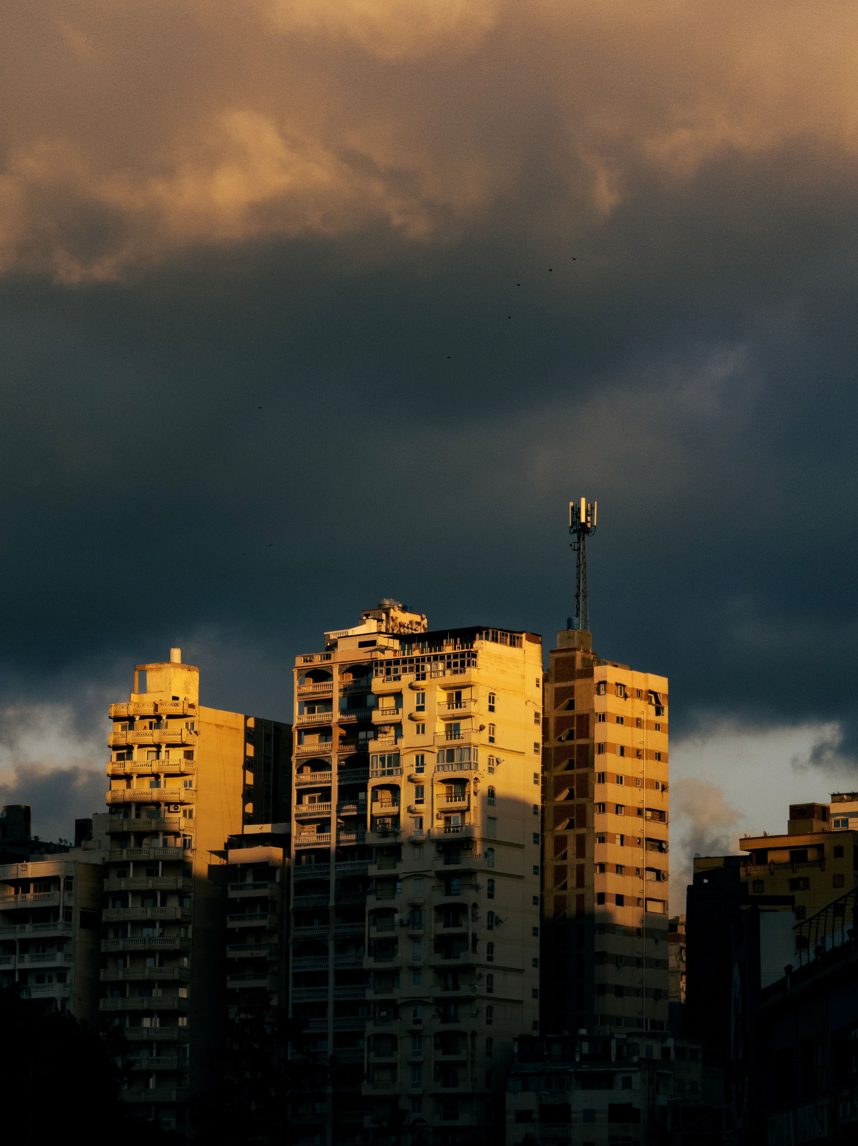Dramatic Alexandria Skyline at Sunset · Free Stock Photo