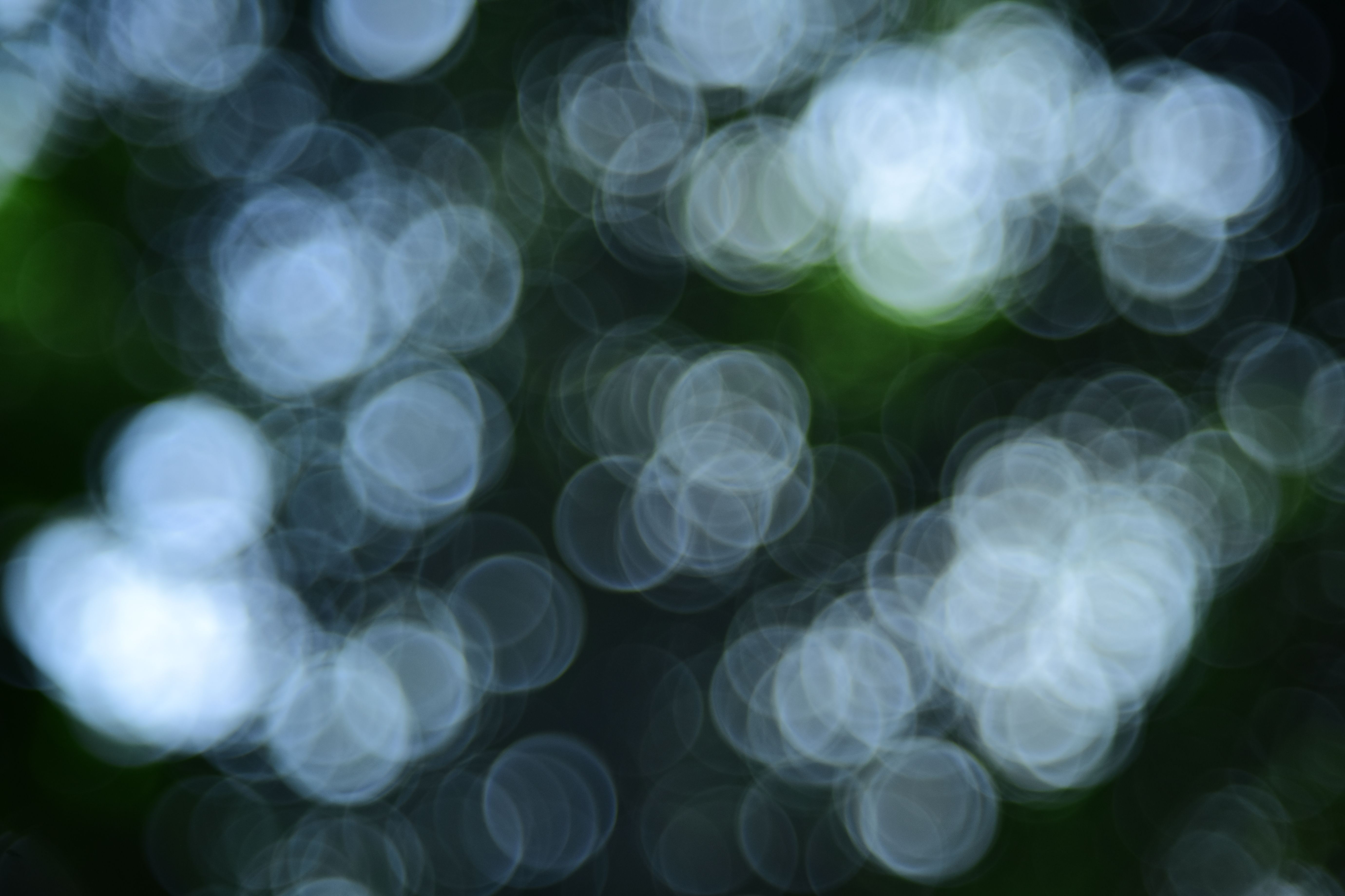 Light Bokeh Photography · Free Stock Photo