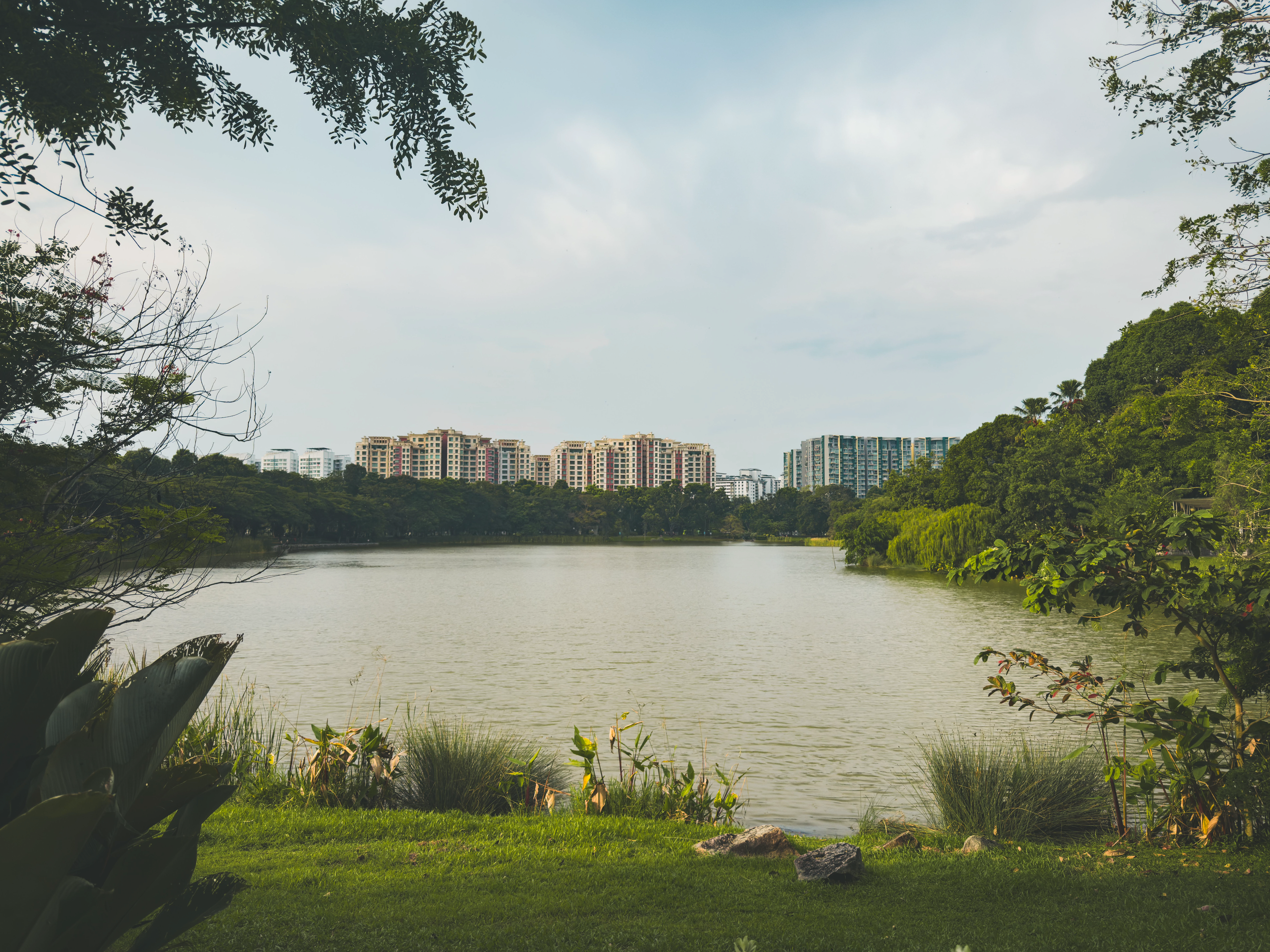 Peaceful Urban Lake with City Skyline · Free Stock Photo