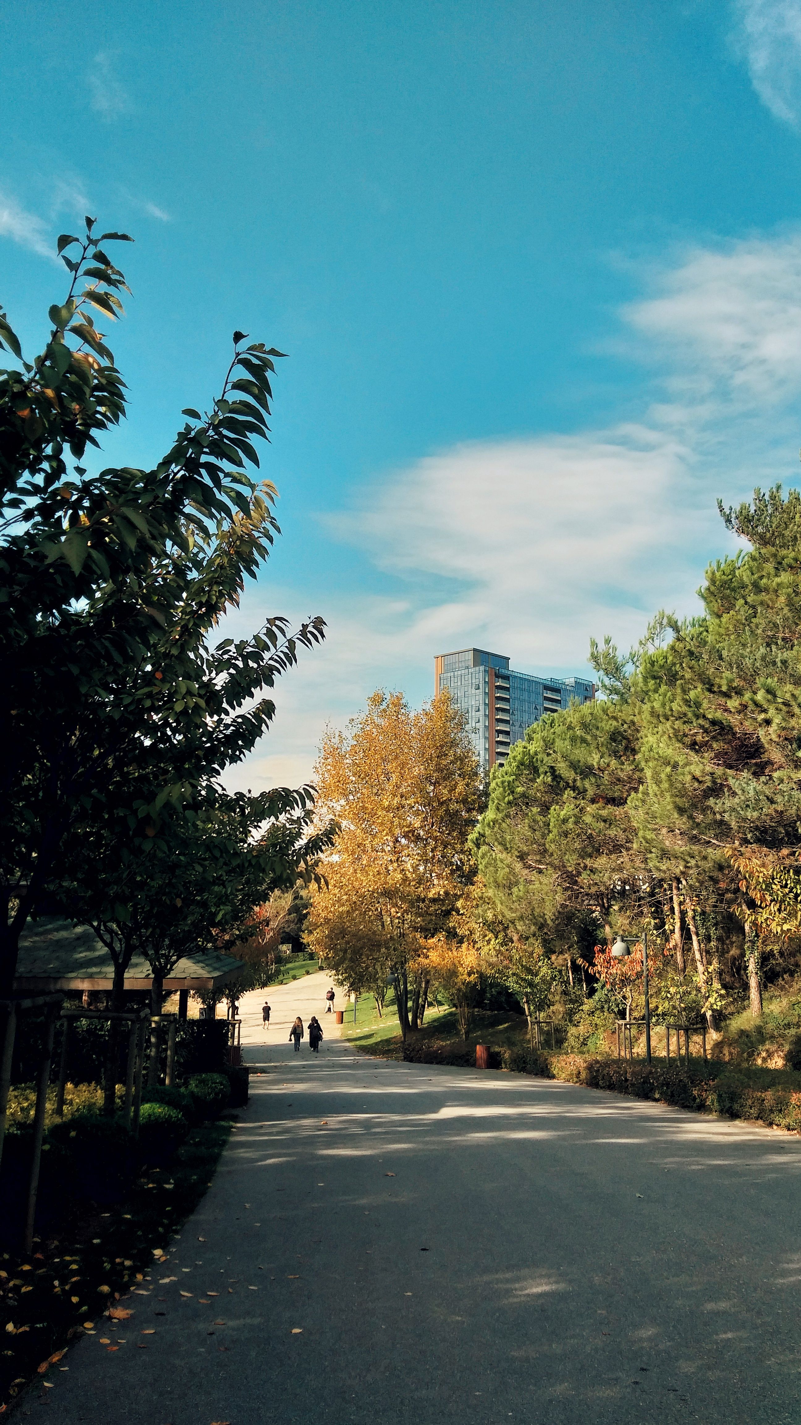 Scenic Autumn Pathway in Istanbul Park · Free Stock Photo