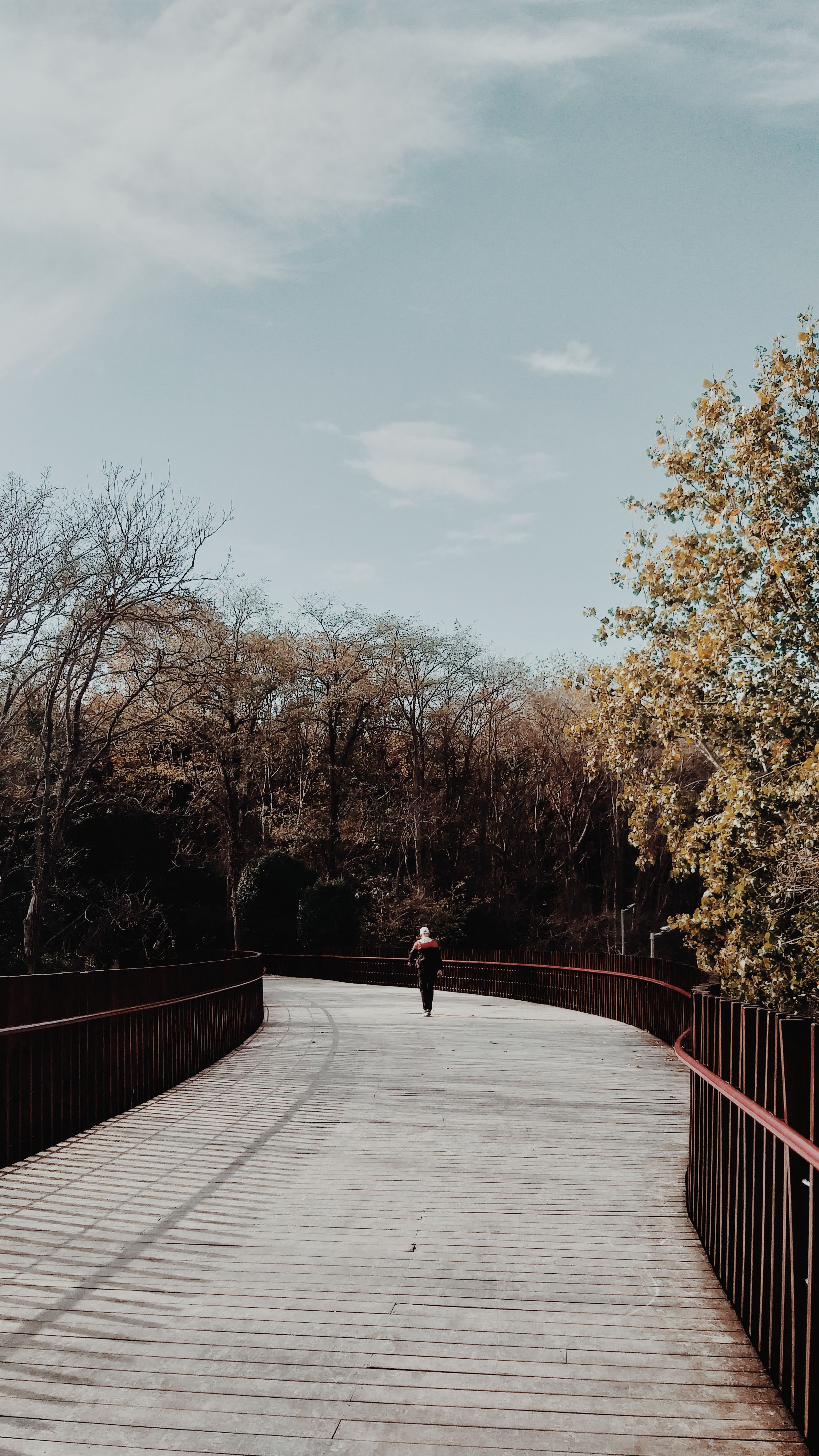 Scenic Wooden Bridge Pathway through Forest · Free Stock Photo