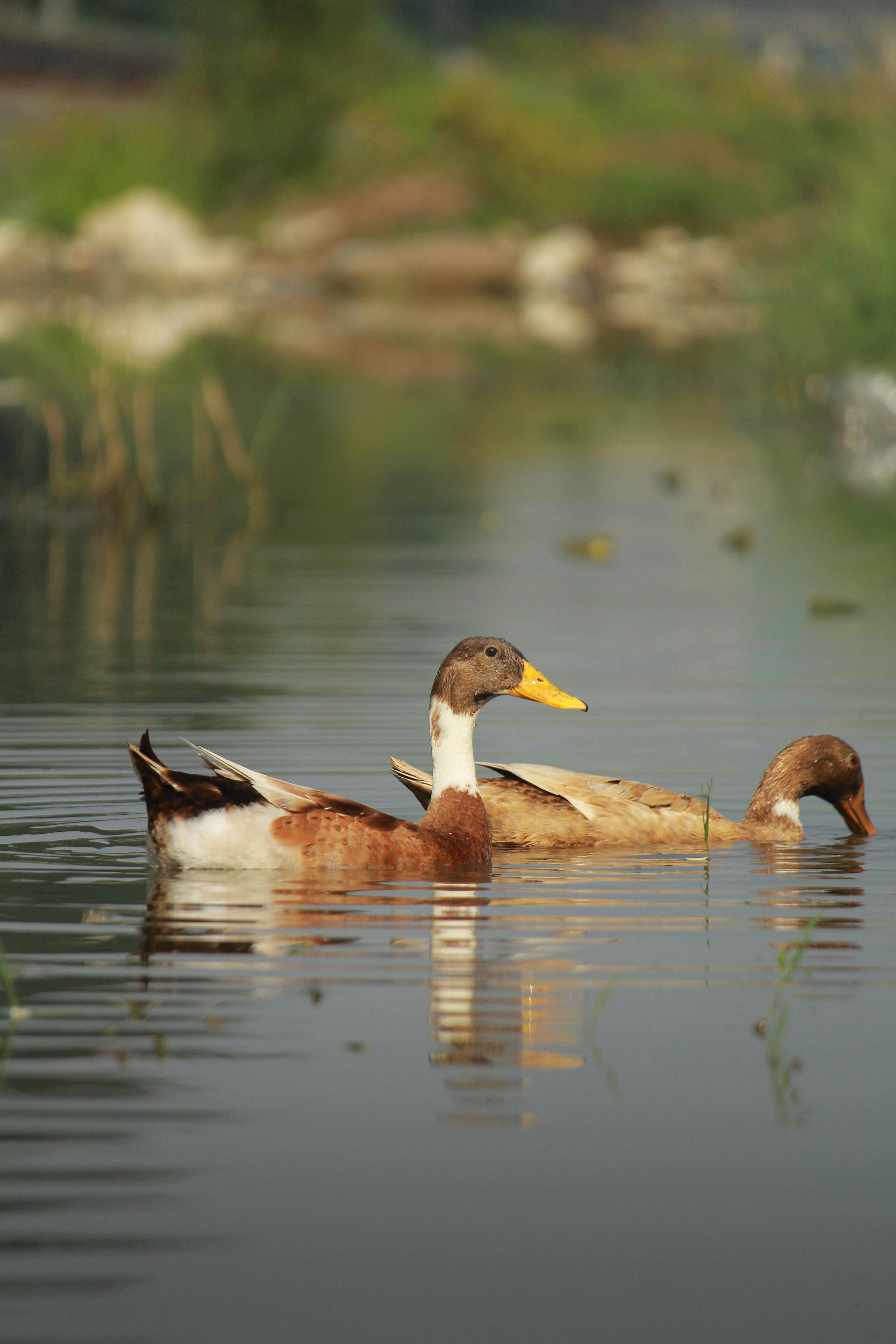 A legjobb 1 000 000+ How-to-change-background-color-in-unity-2d témájú ...