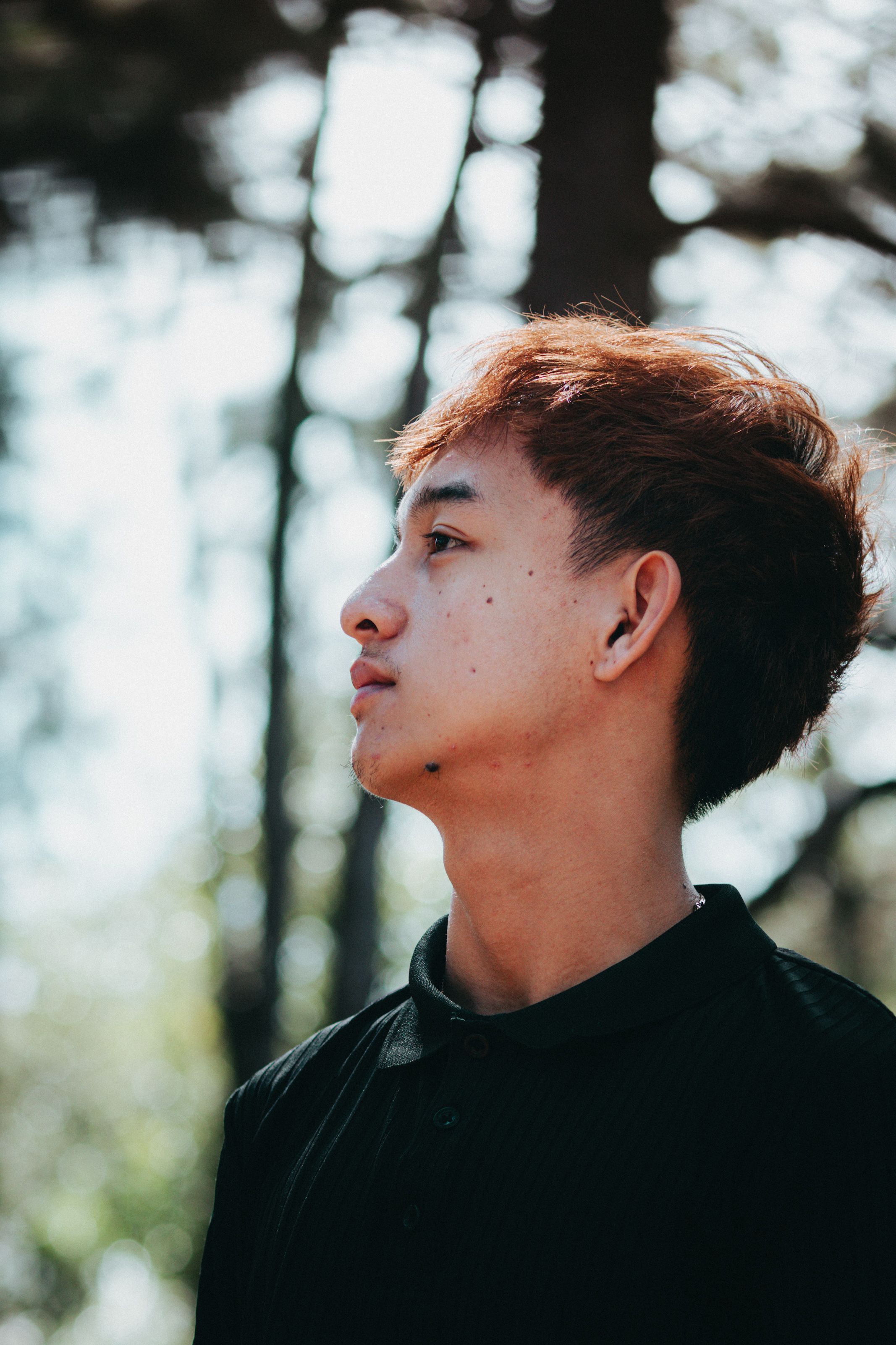 Shadow Profile Picture Photos, Download The BEST Free Shadow Profile ...