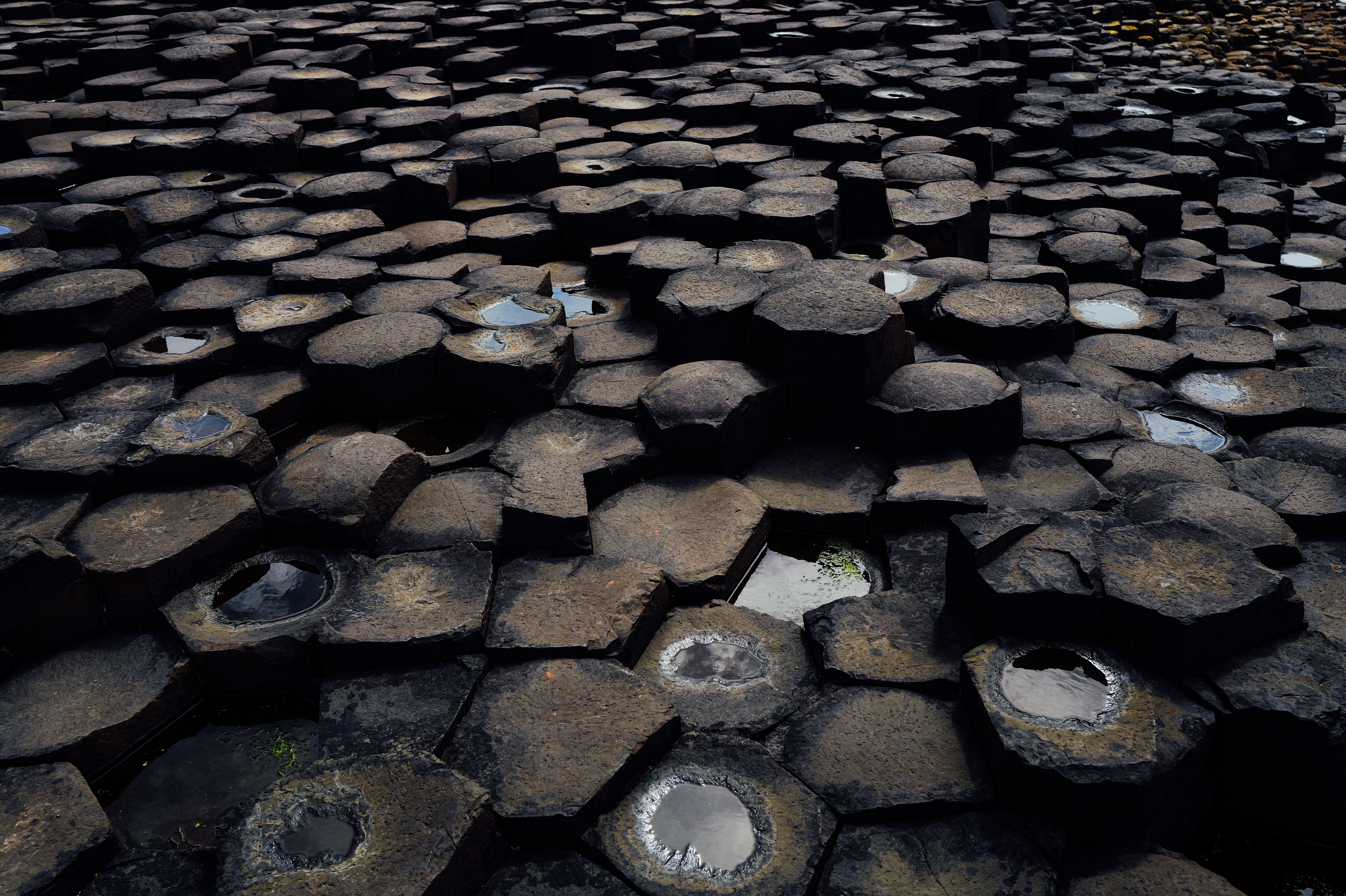 Giant's Causeway Basalt Columns Scenic View · Free Stock Photo