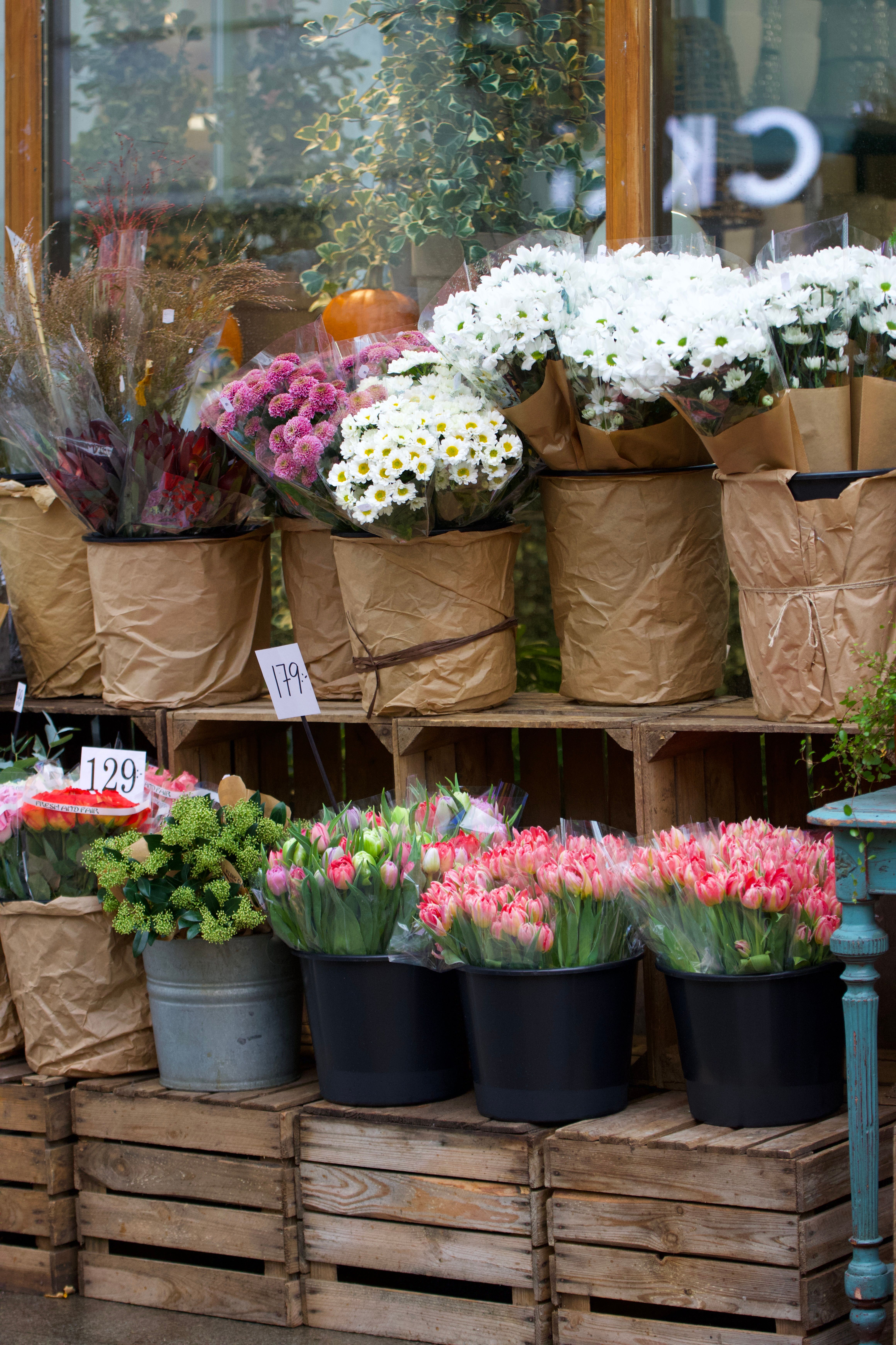 Charming Flower Stand in Jönköping · Free Stock Photo