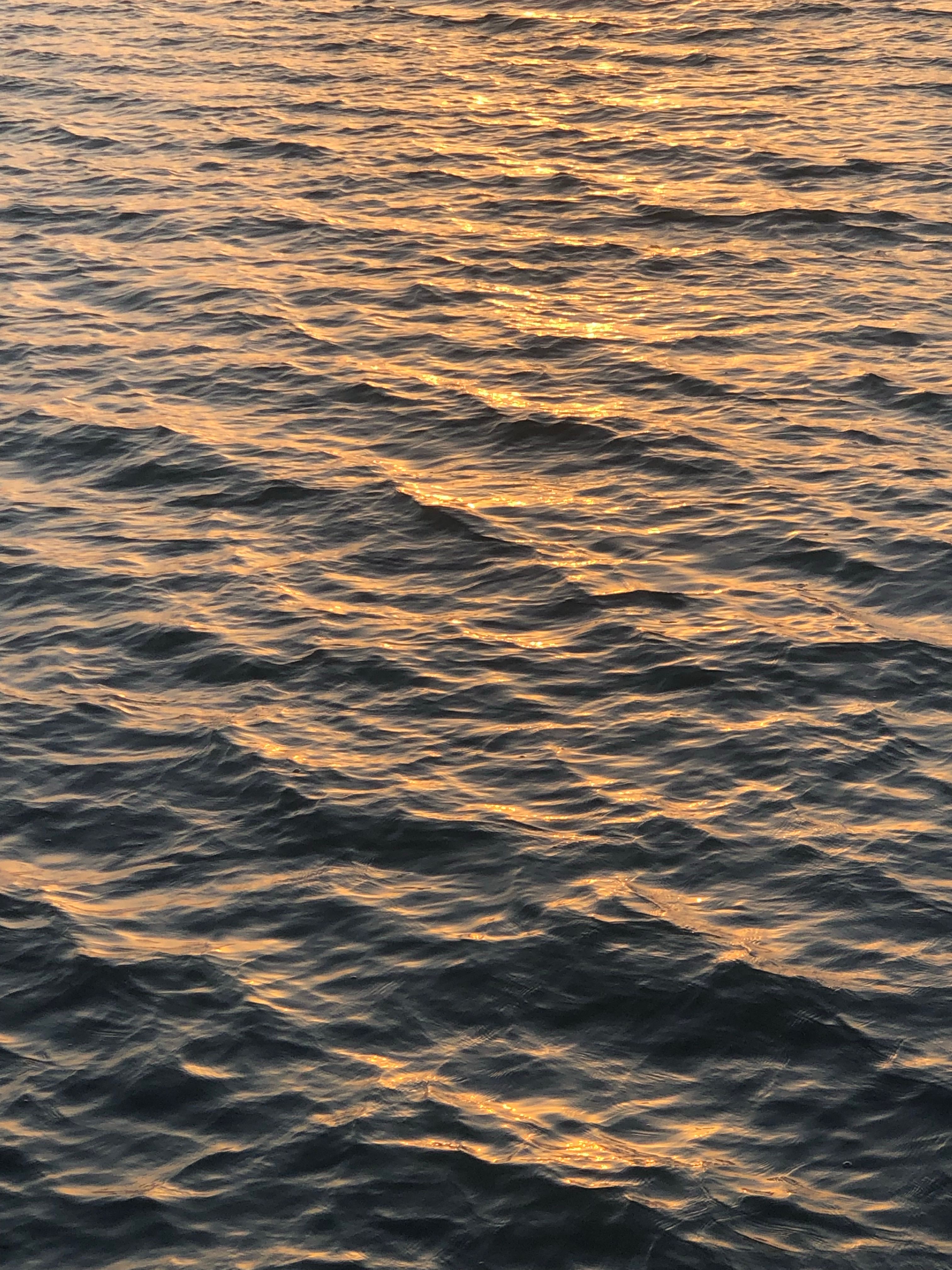 Calm Ocean Waves Reflecting Golden Sunset Light · Free Stock Photo