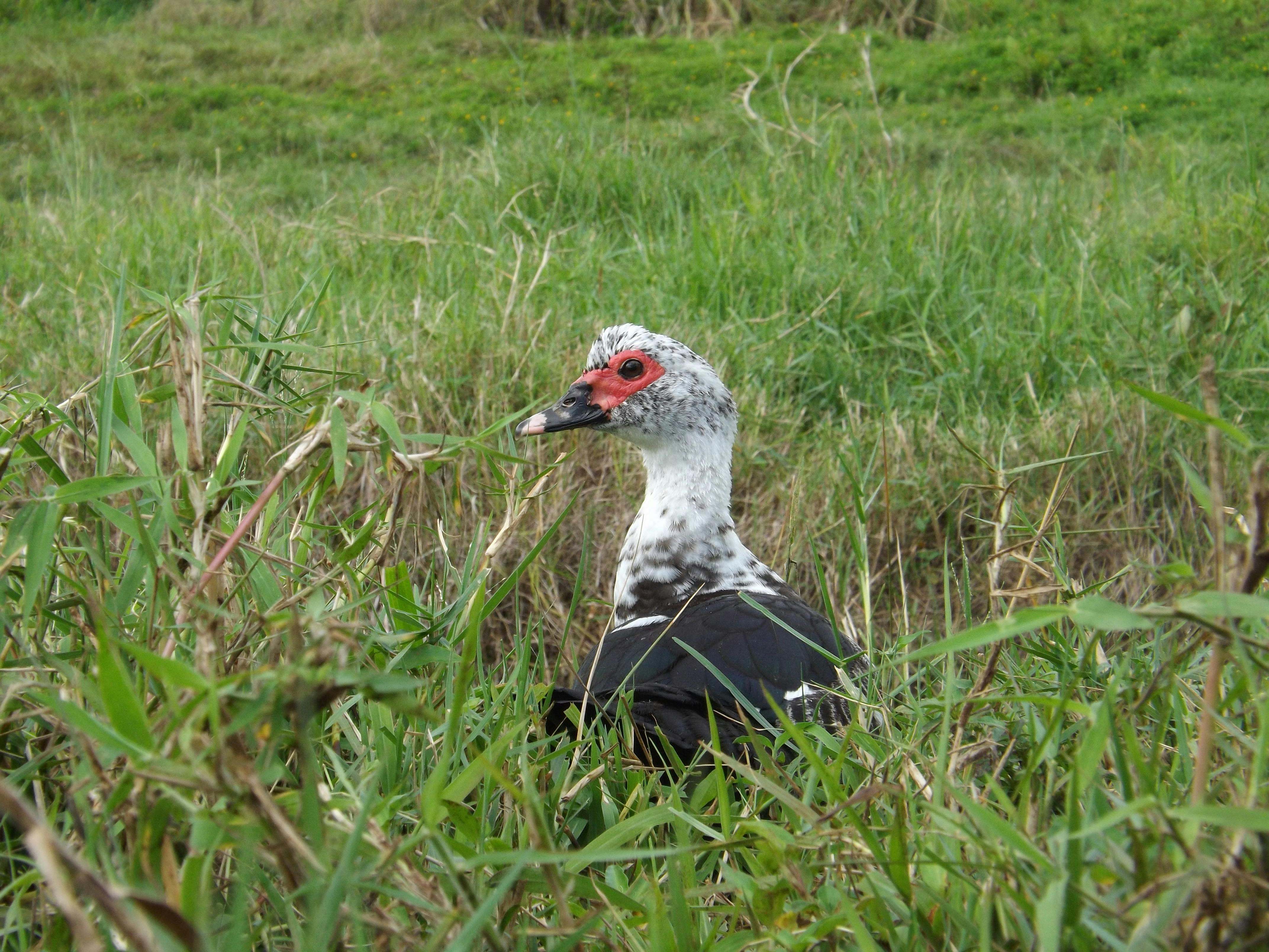 Life 5 Photos & Videos Collected by Ben Rasmussen