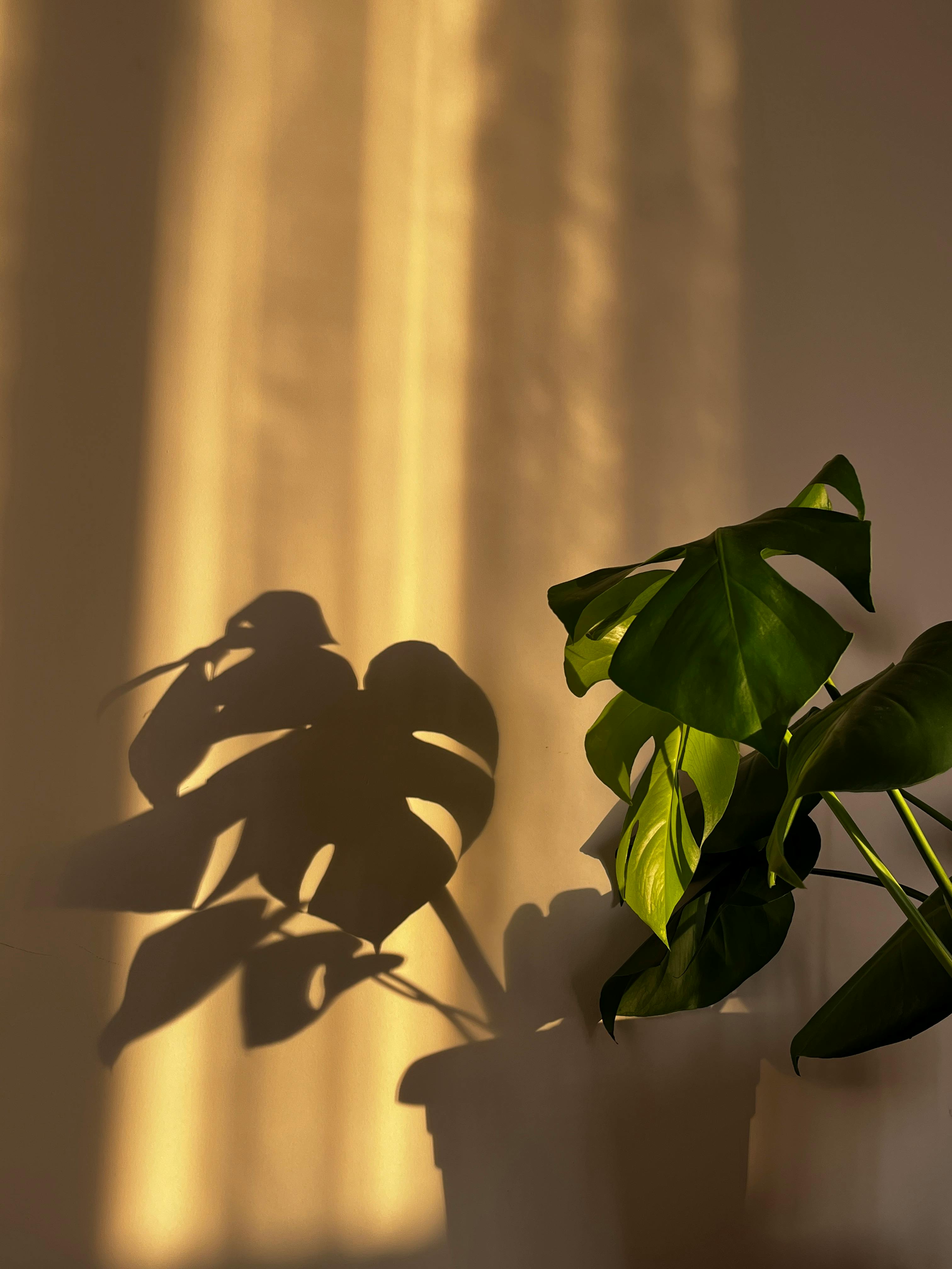 1 000 000+ najlepszych zdjęć z kategorii: Other-galleries-about ...