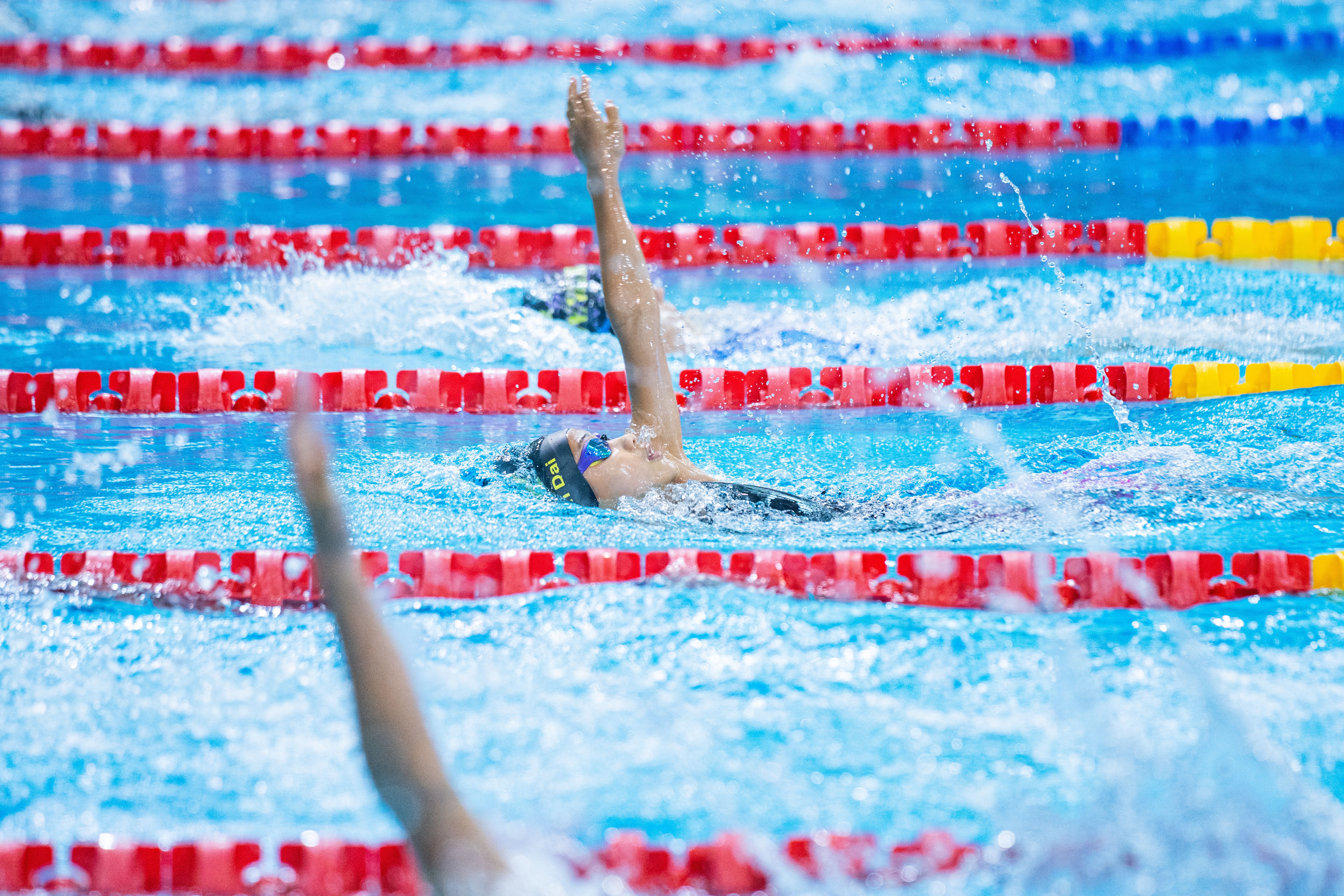 Competitive Swimming Race in Olympic Pool · Free Stock Photo